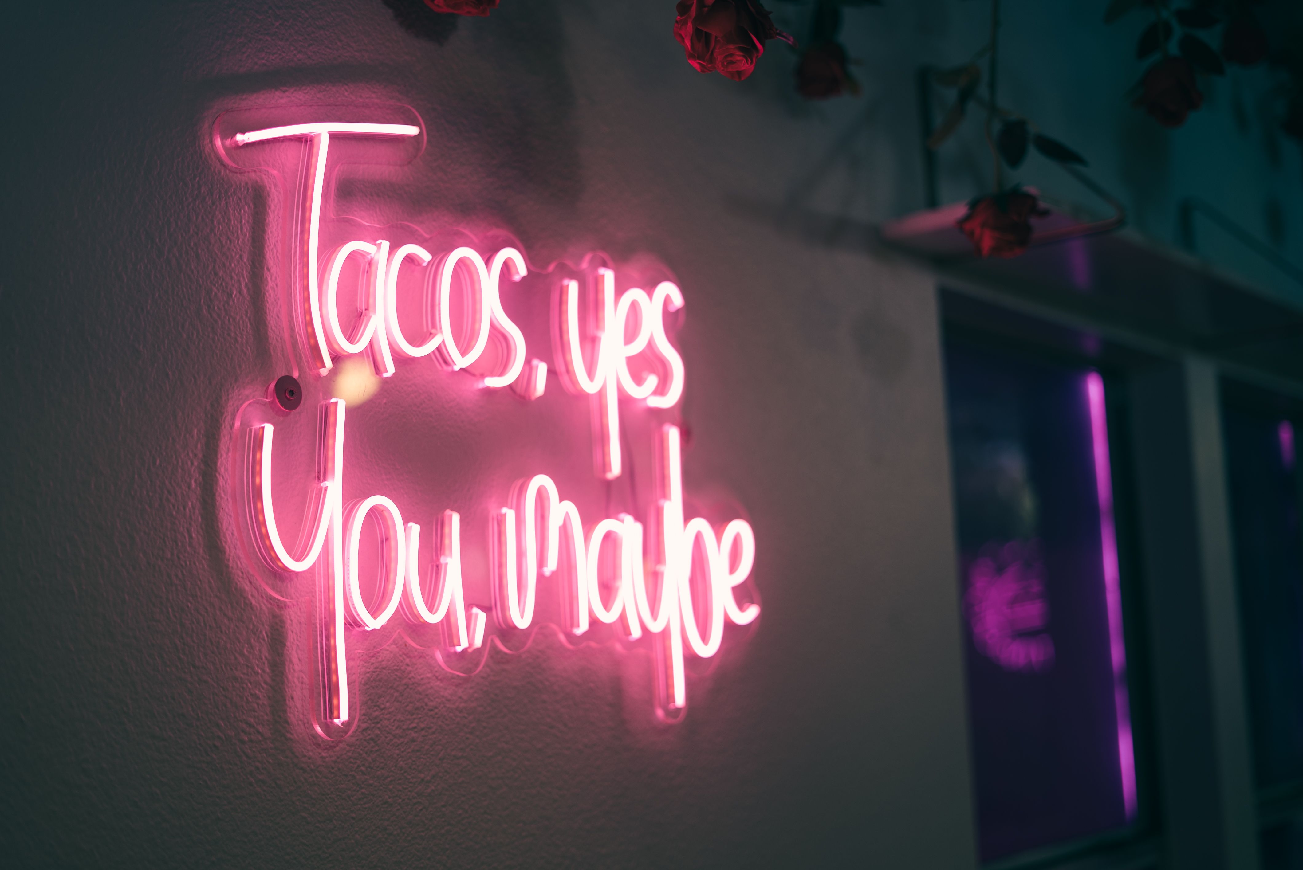 Neon Text on Wall · Free Stock Photo