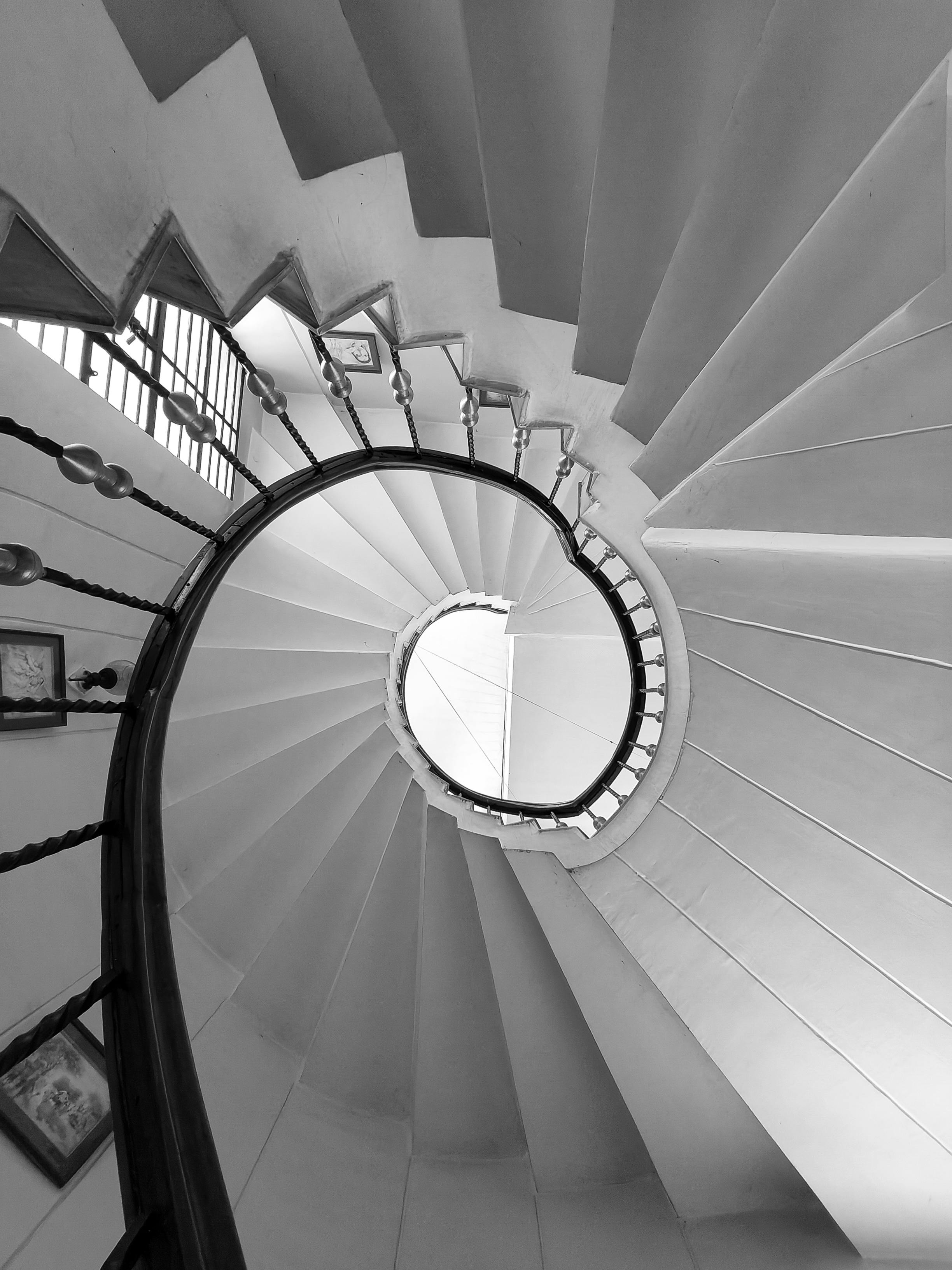 Fibonacci Spiral Photos, Download The BEST Free Fibonacci Spiral Stock ...