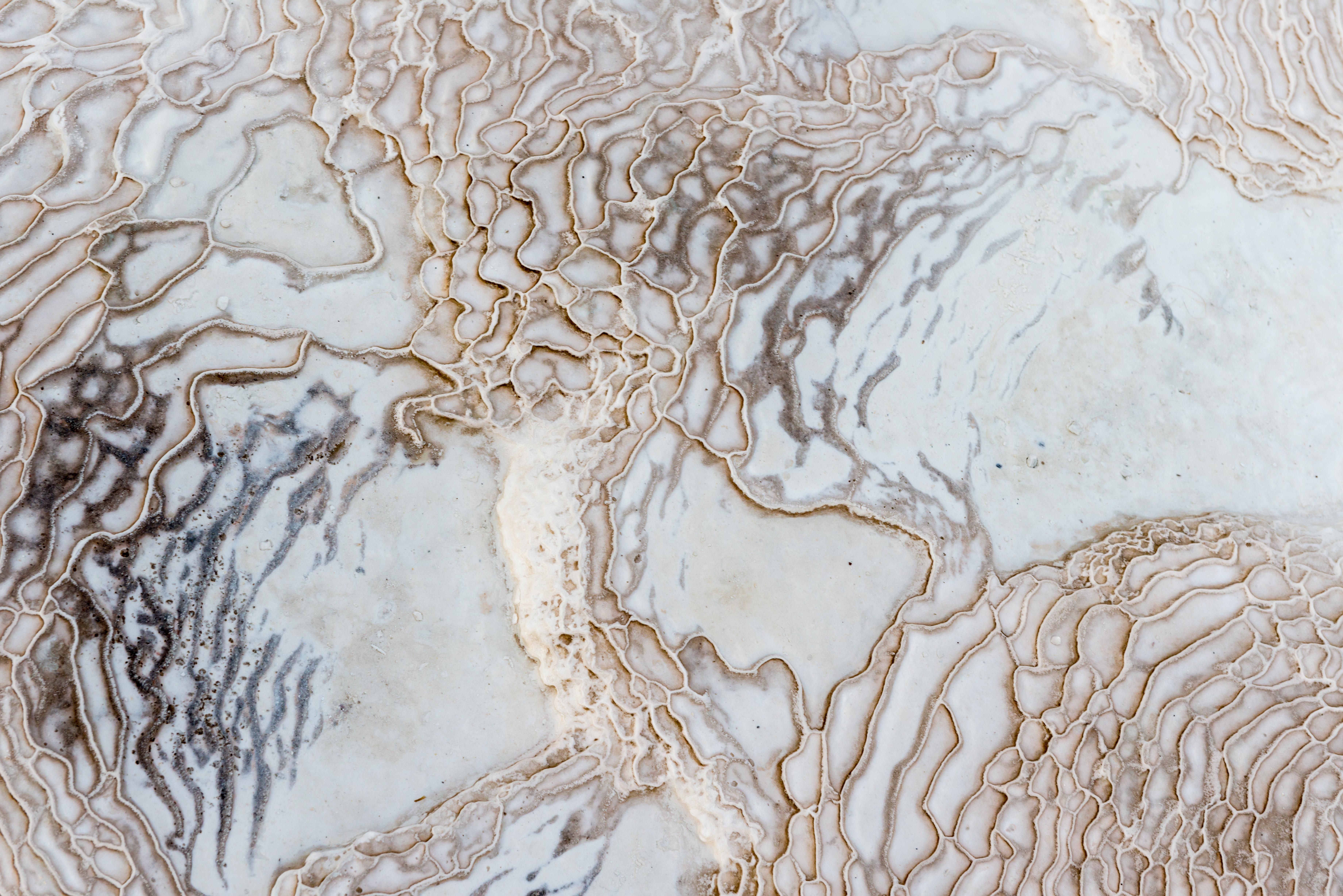Marble Surface with Visible Veins · Free Stock Photo
