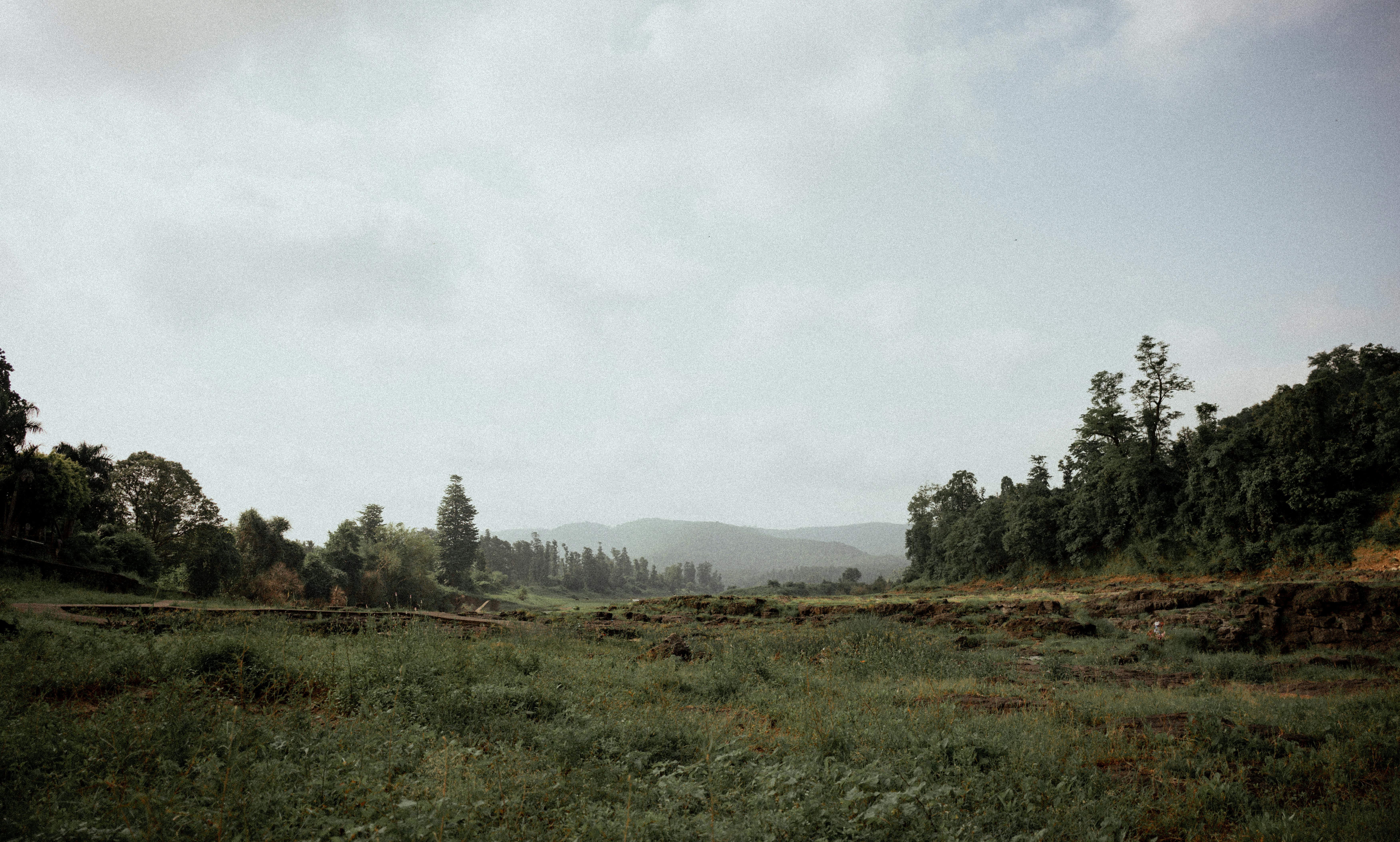 Royalend Field 4k Wallpaper Photos, Download The BEST Free Royalend ...