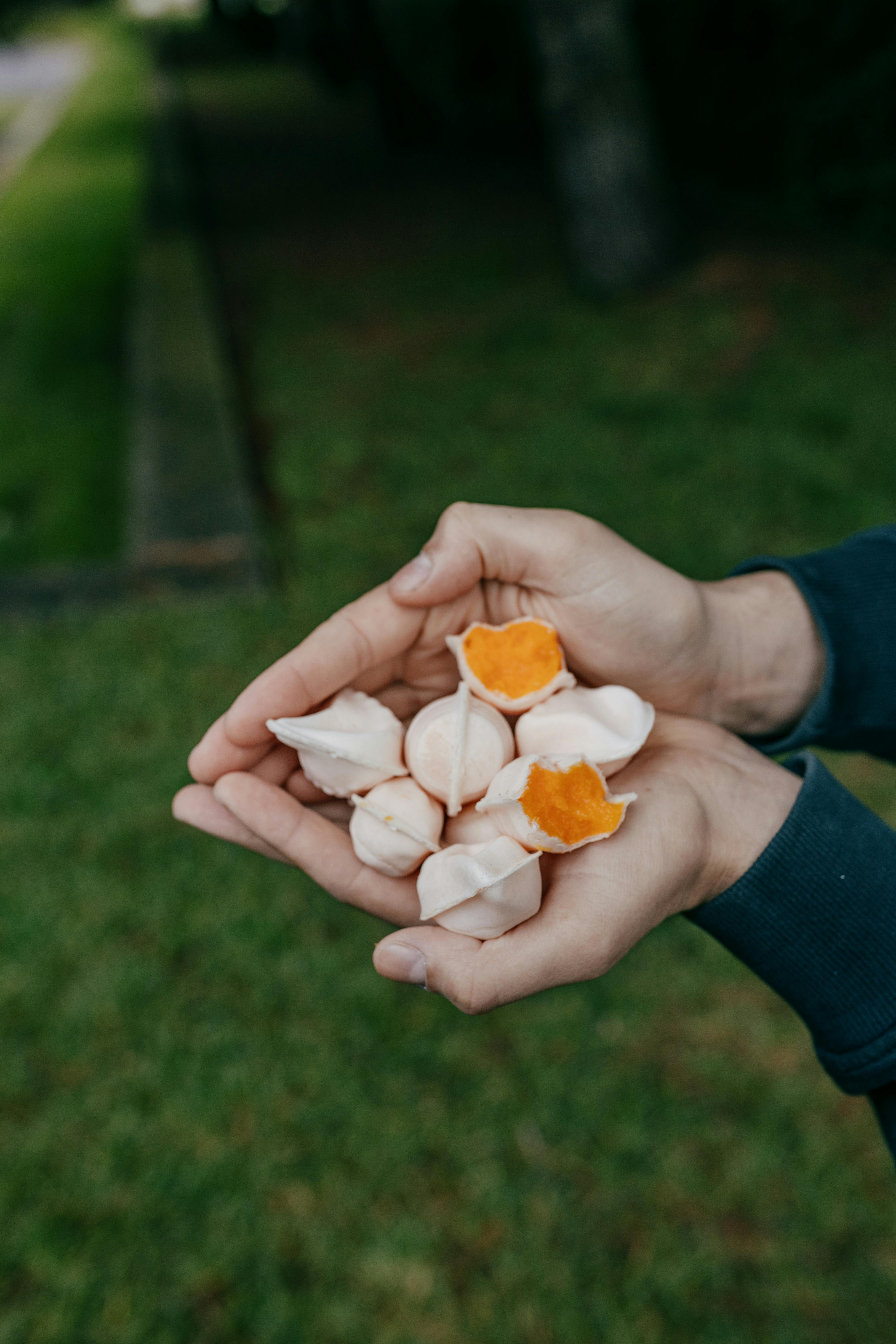 Man Hands Holding Ovos Moles Food · Free Stock Photo