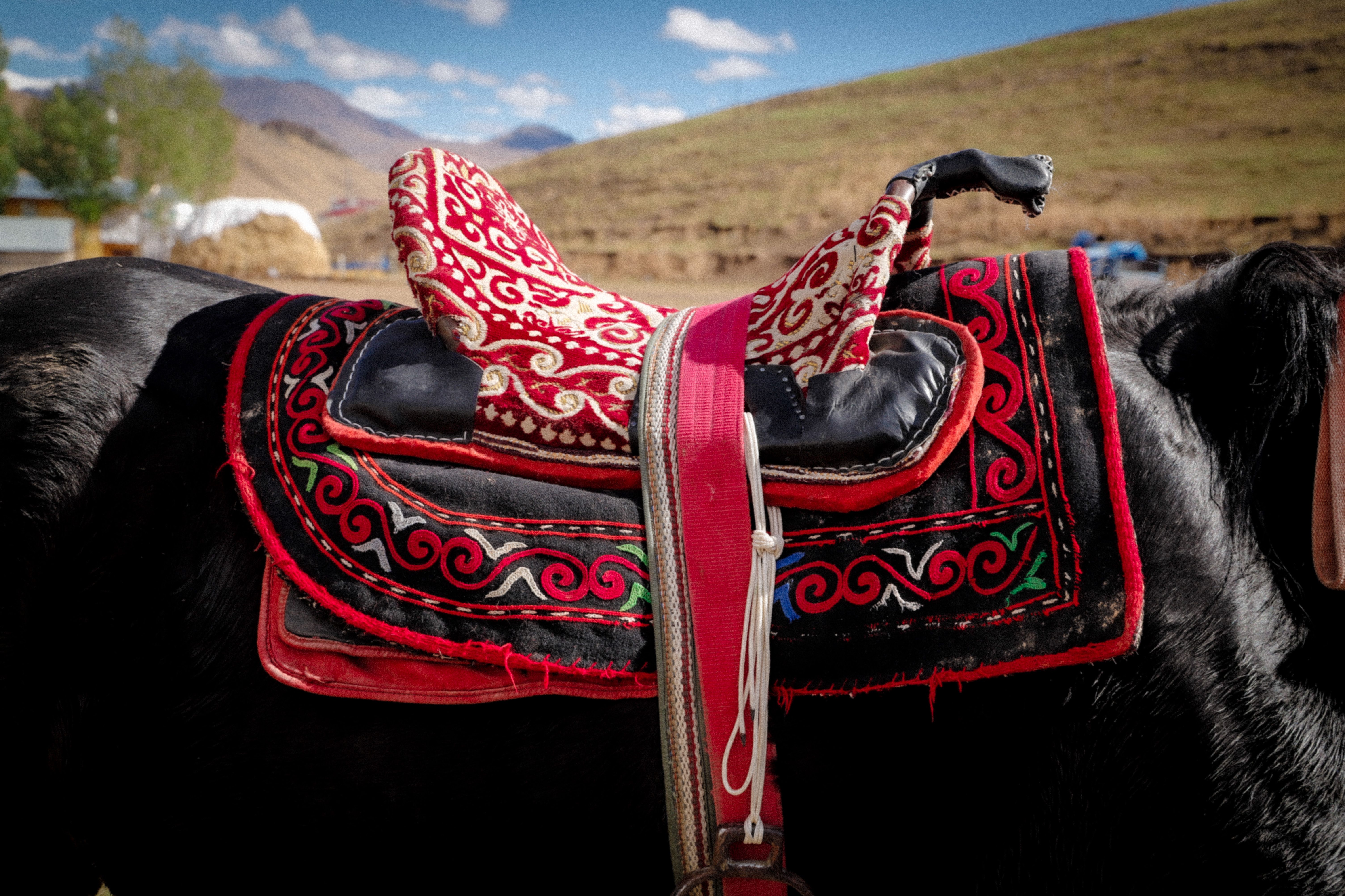 red saddle on the horse · Free Stock Photo
