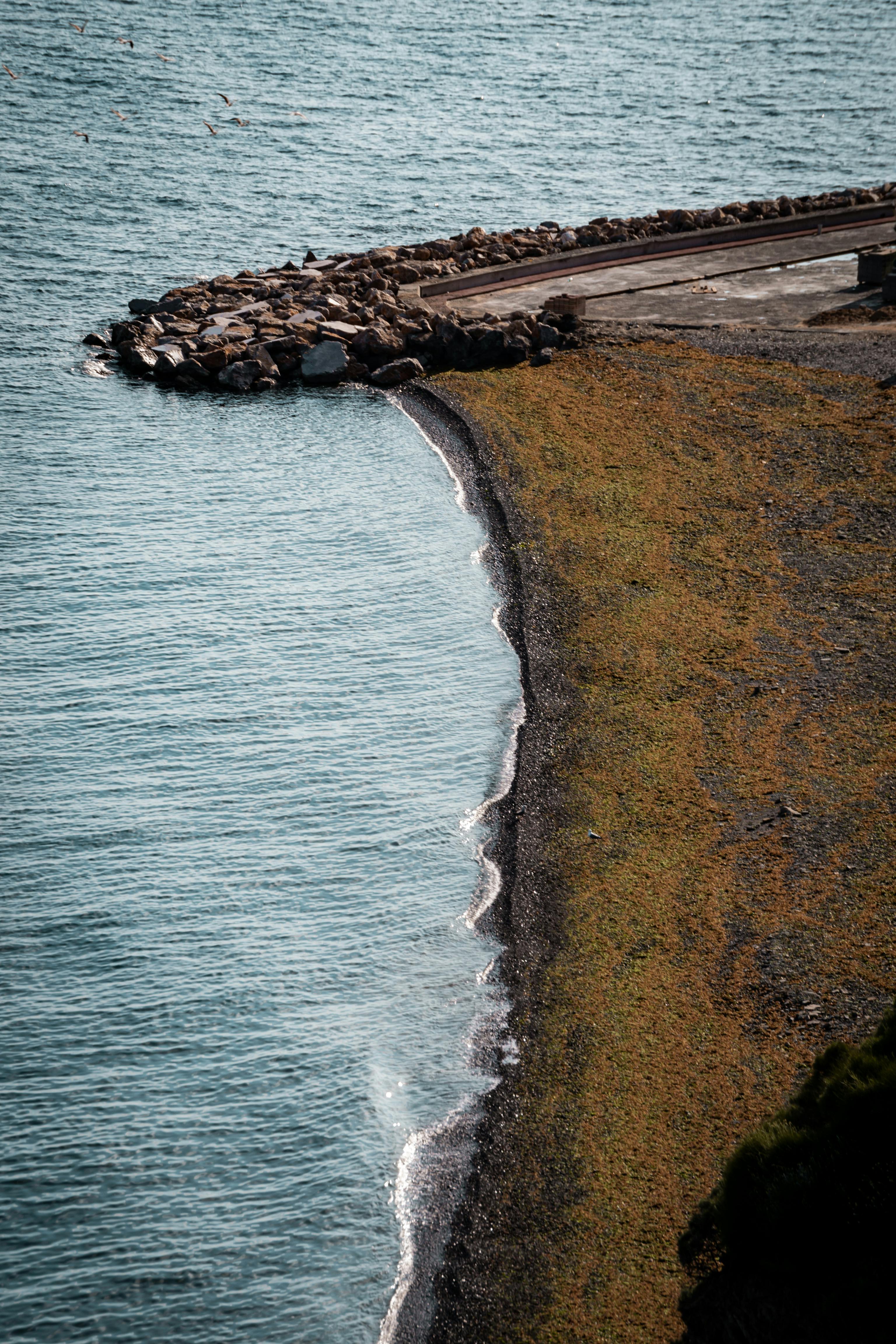 A bird's eye view of a beach with a jetty · Free Stock Photo