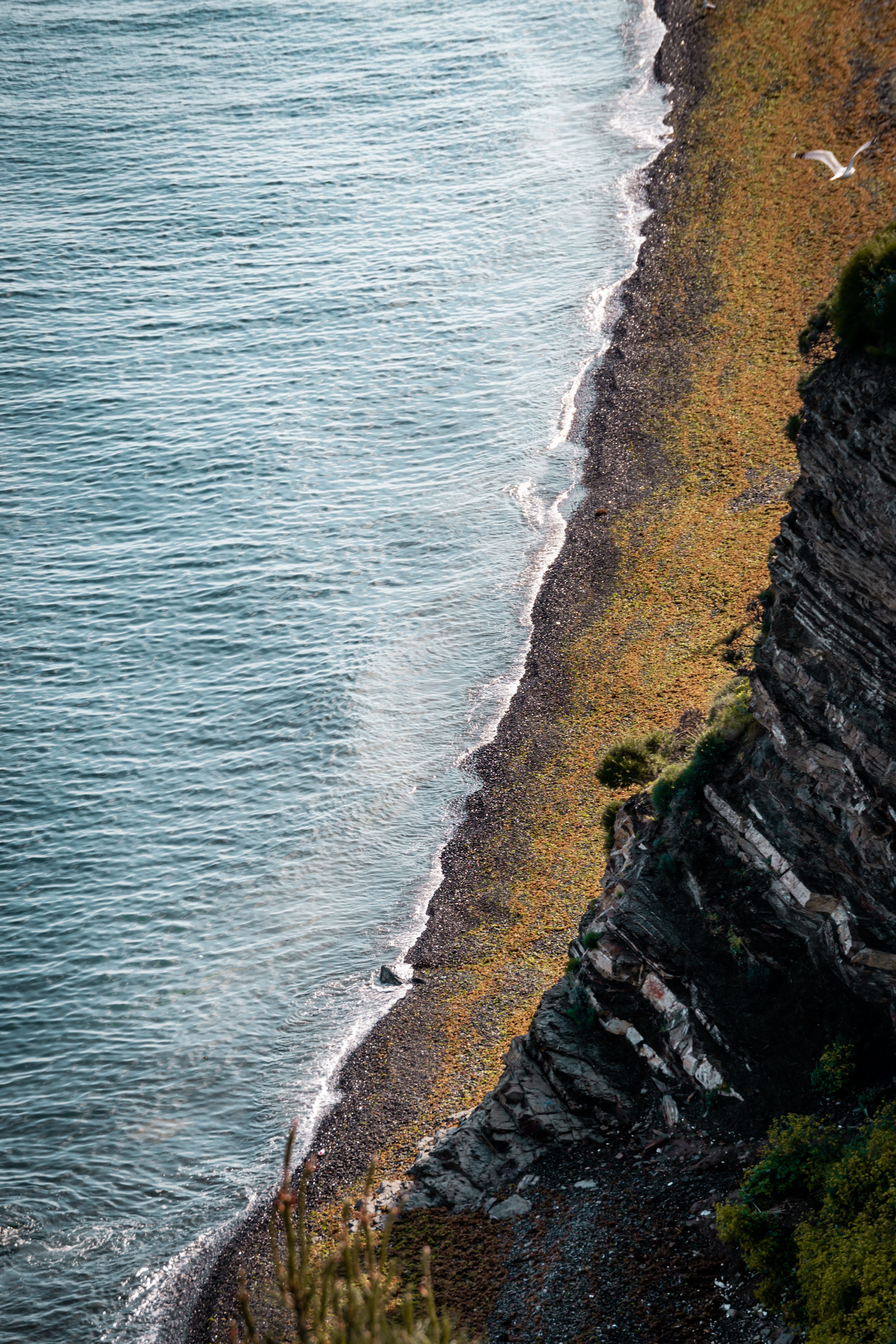 A bird flying over the ocean near a cliff · Free Stock Photo