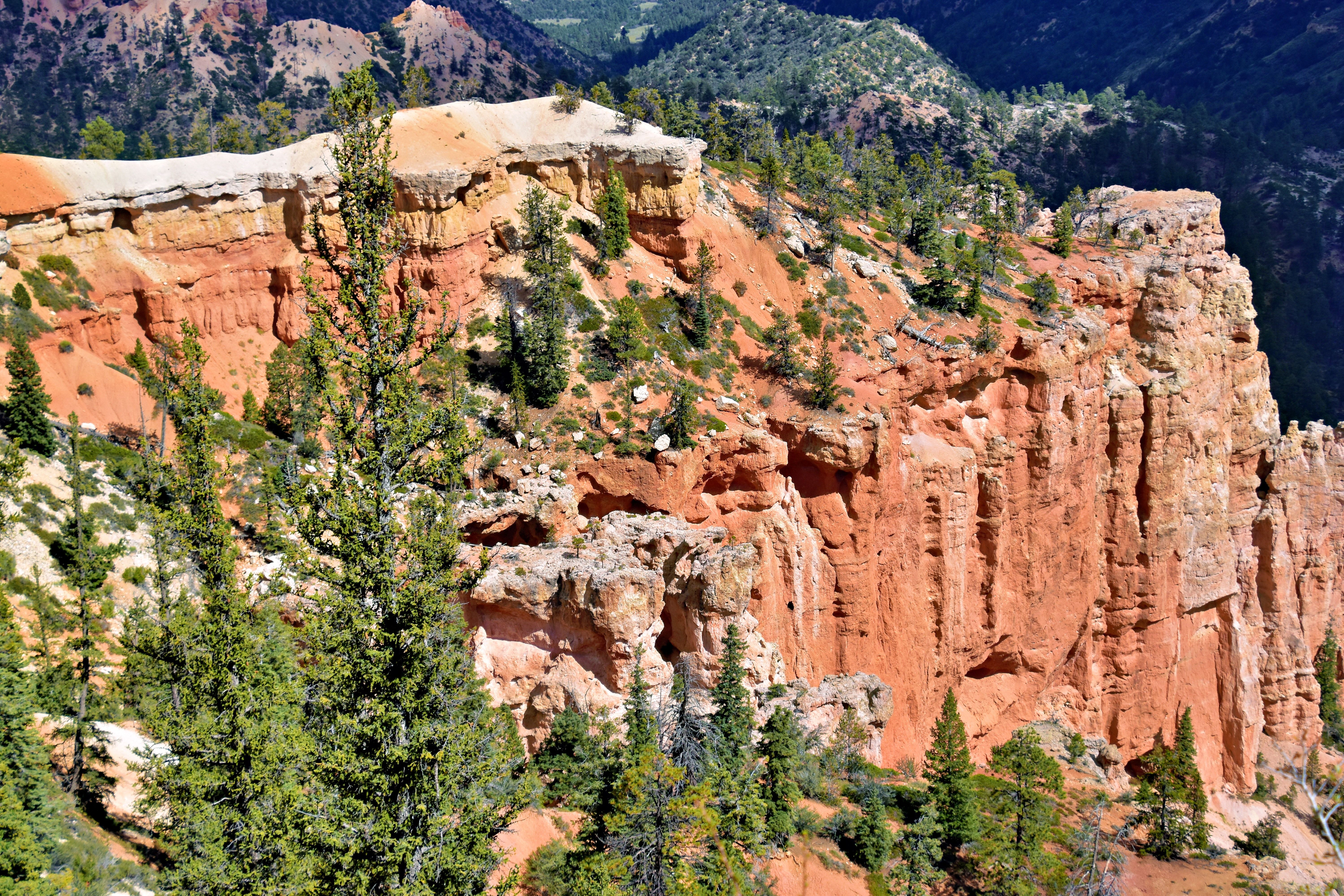 The red cliffs of bryce canyon national park · Free Stock Photo