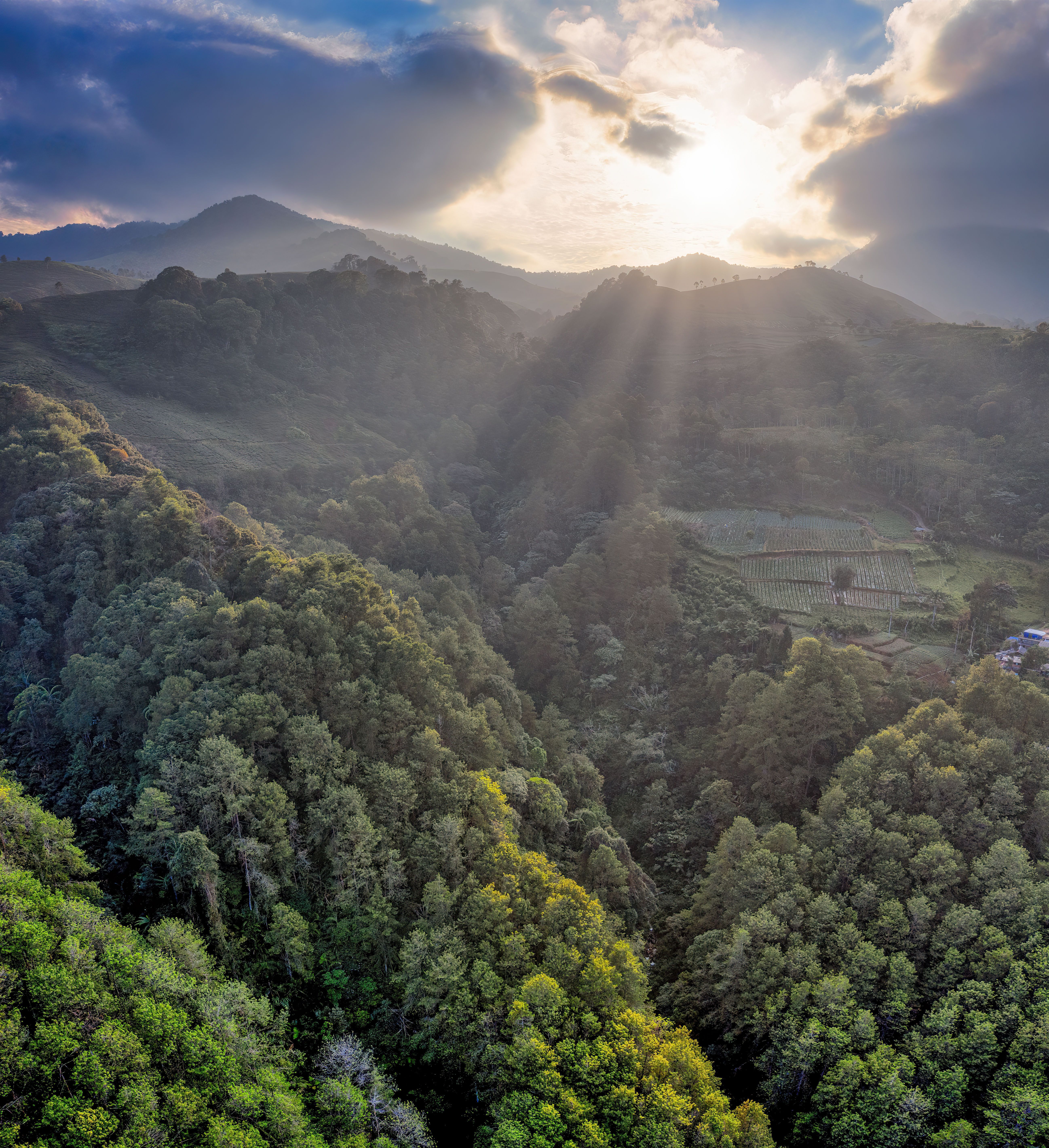The sun shines over a forested area with trees and mountains · Free ...