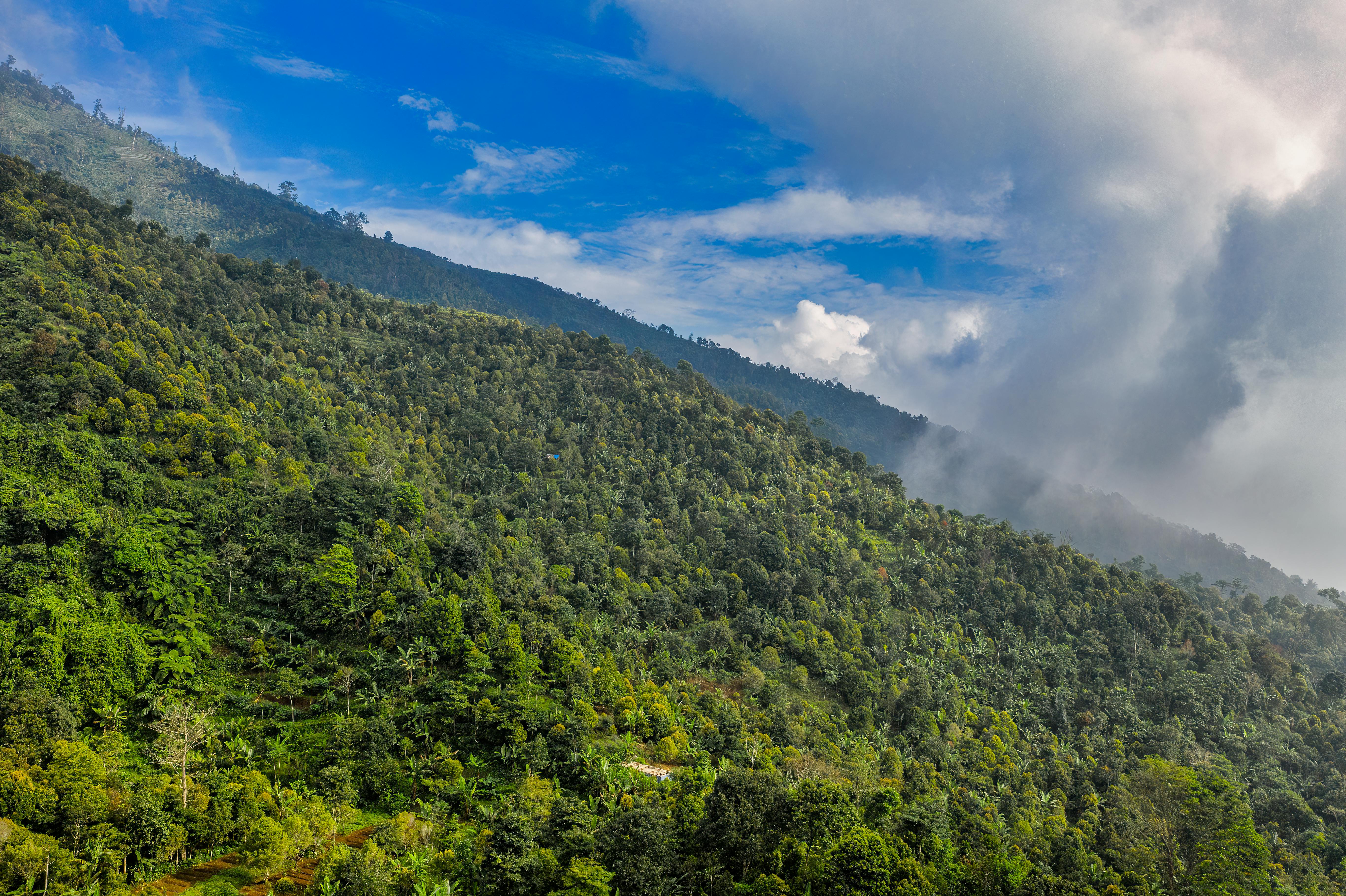 High Rise Mountain during Deay Time · Free Stock Photo