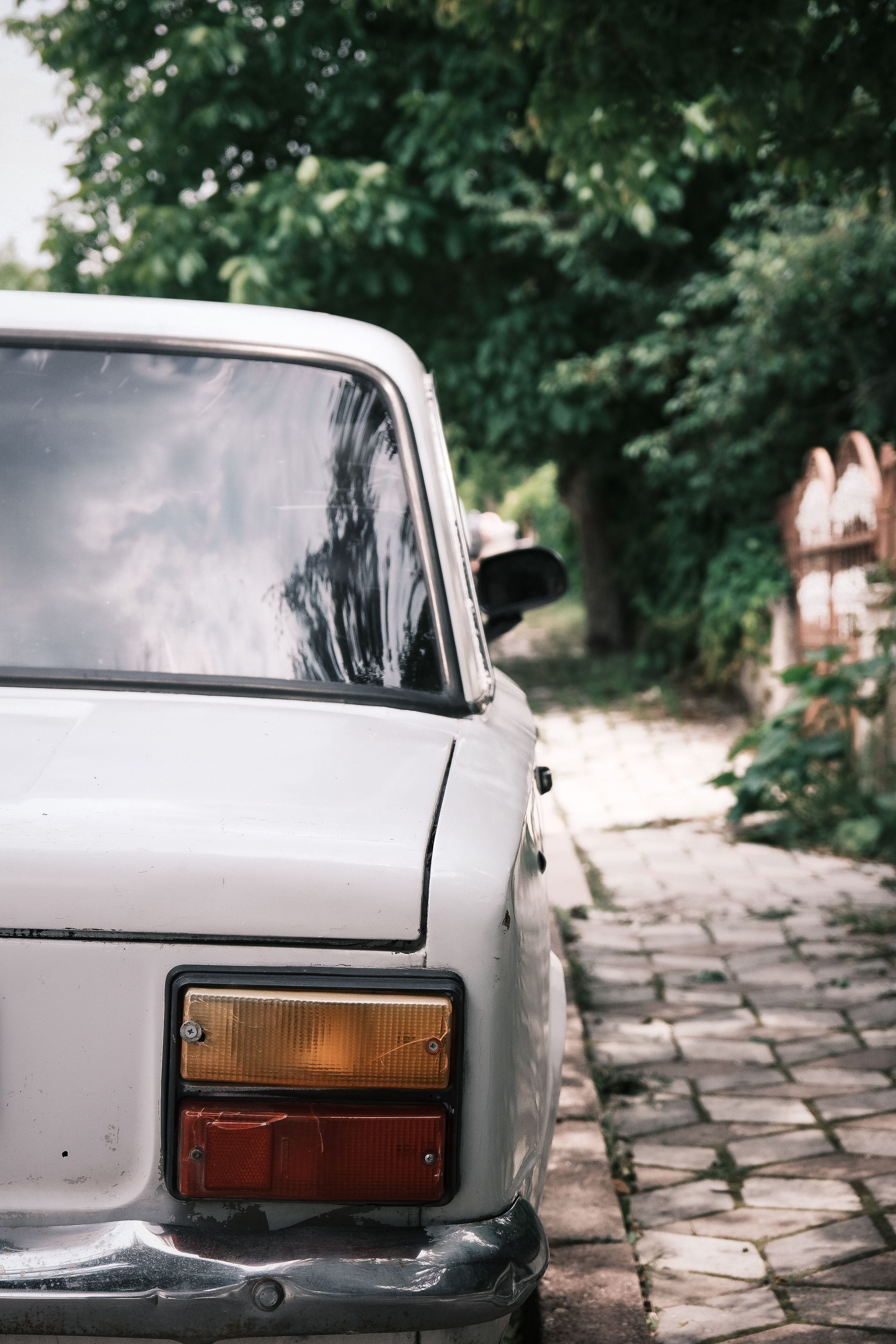 Back View of a Classic Car · Free Stock Photo