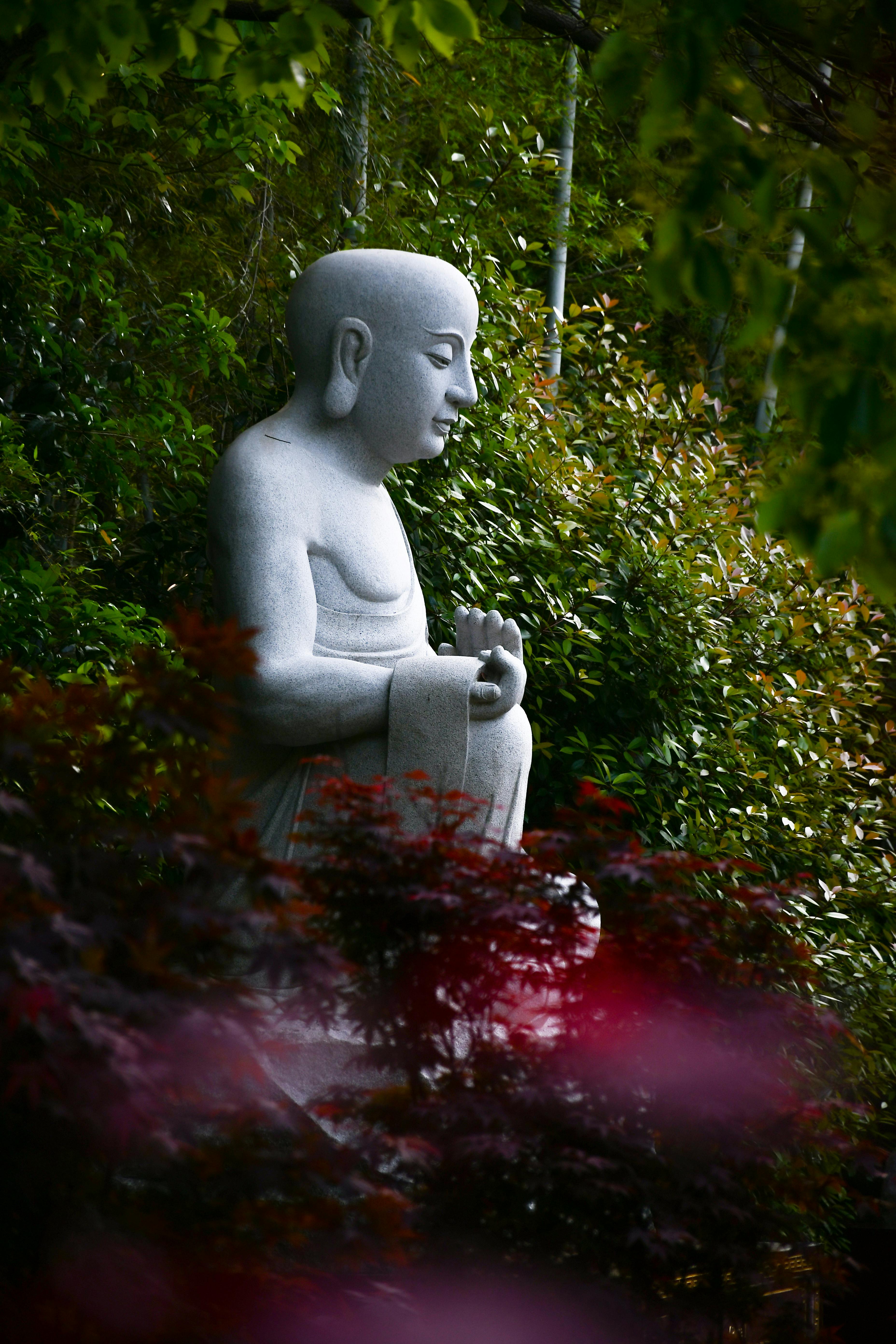 Forest Statue Photos, Download The BEST Free Forest Statue Stock Photos ...