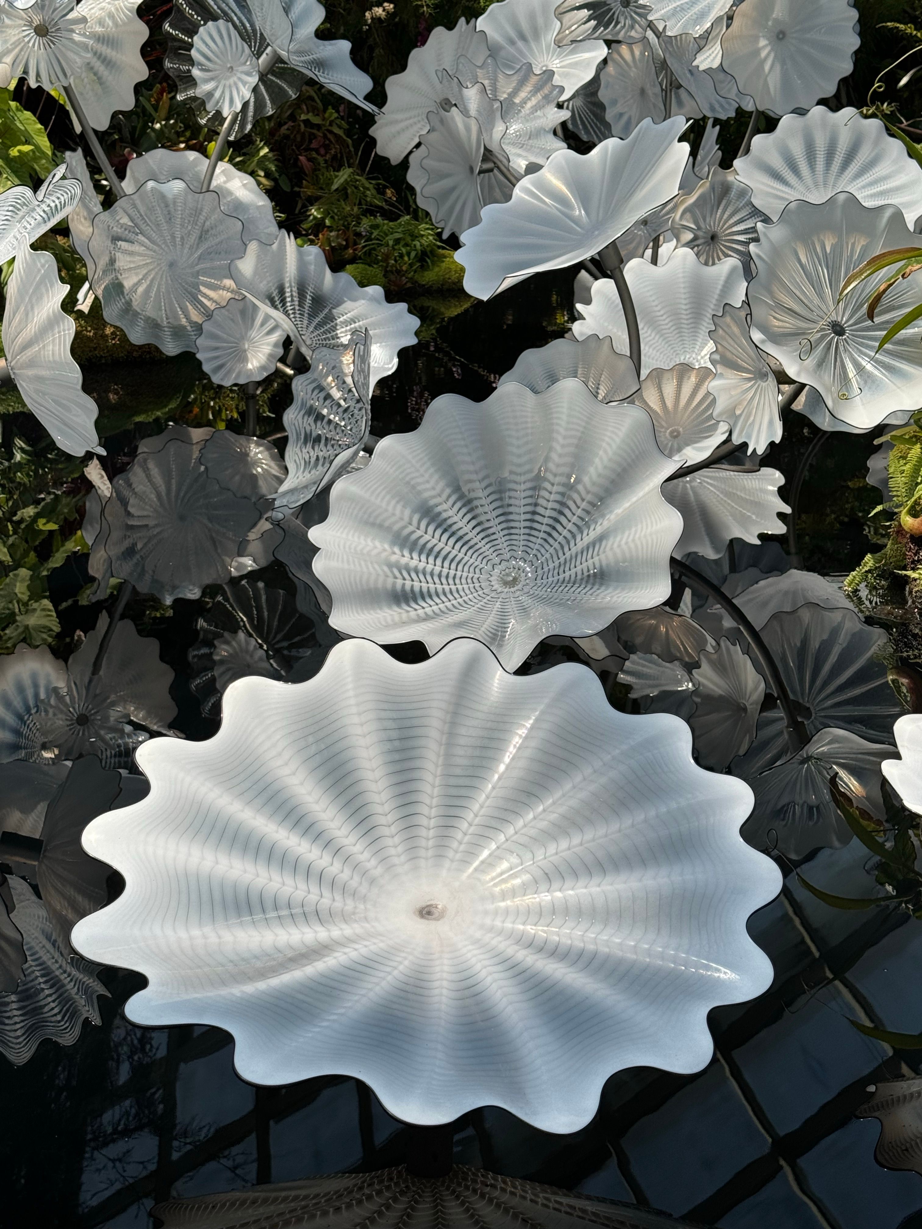 White, Traditional Glass · Free Stock Photo