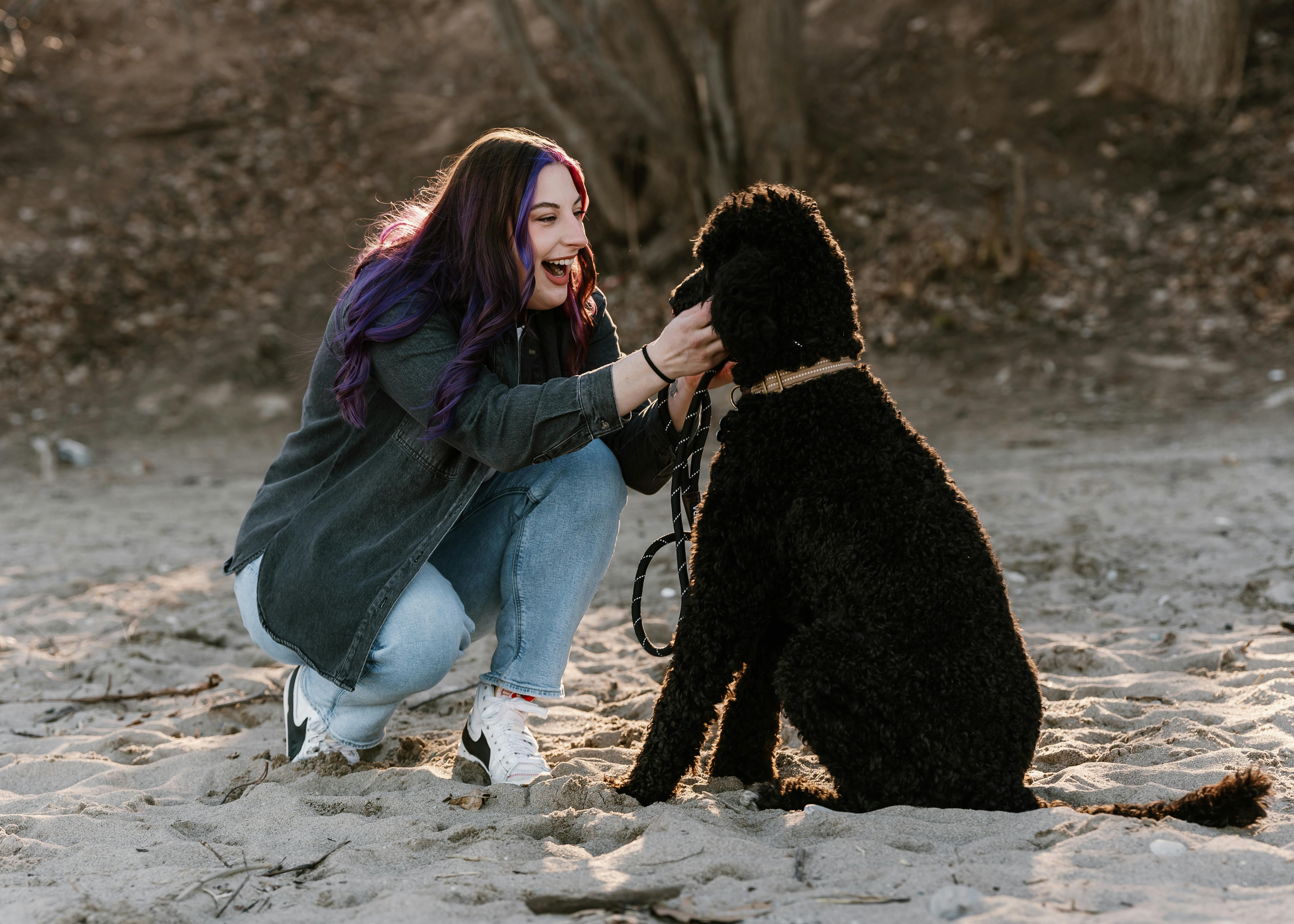 Pet Ting Photos, Download The BEST Free Pet Ting Stock Photos & HD Images