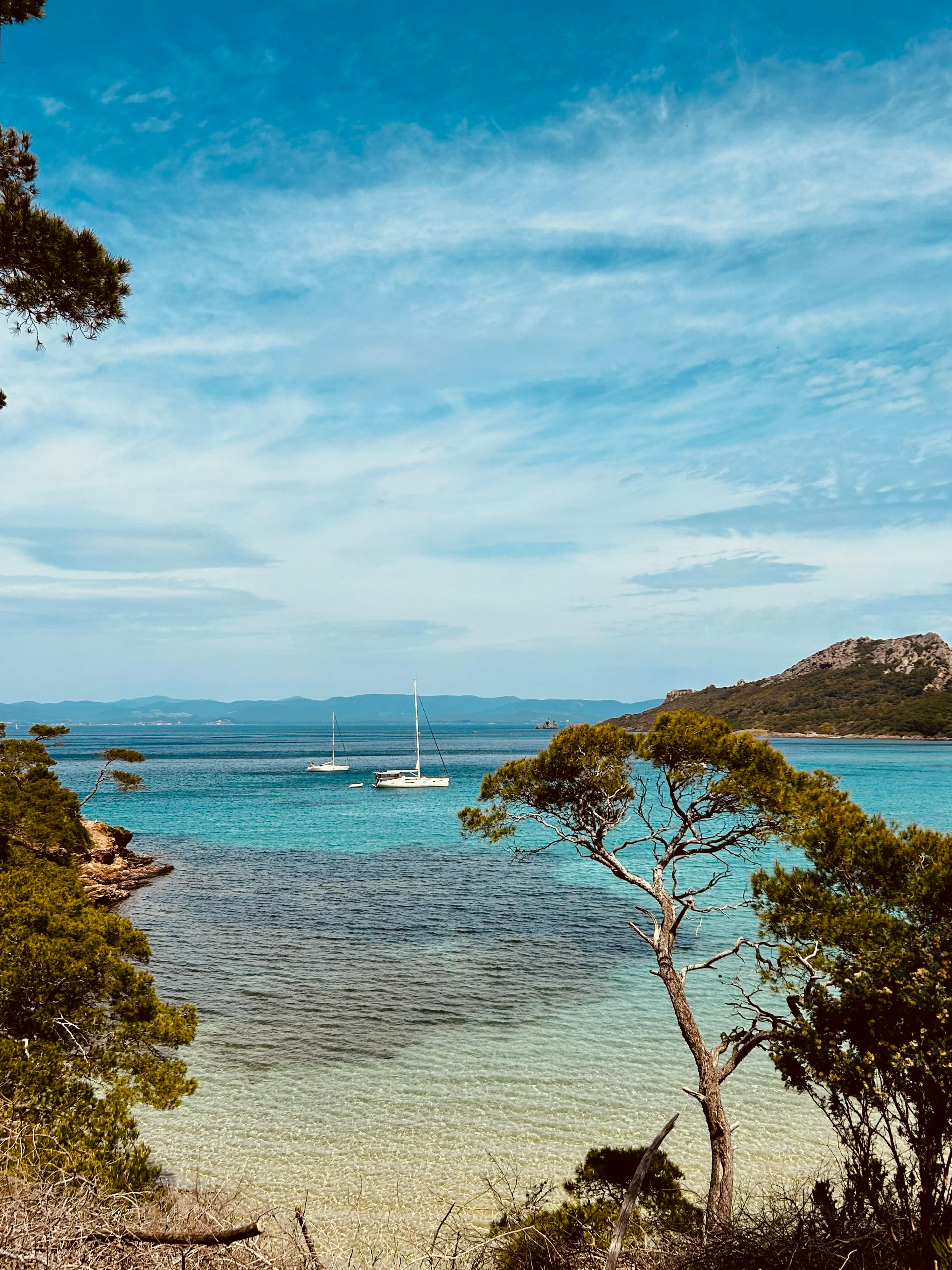 Sailboats in Bay · Free Stock Photo