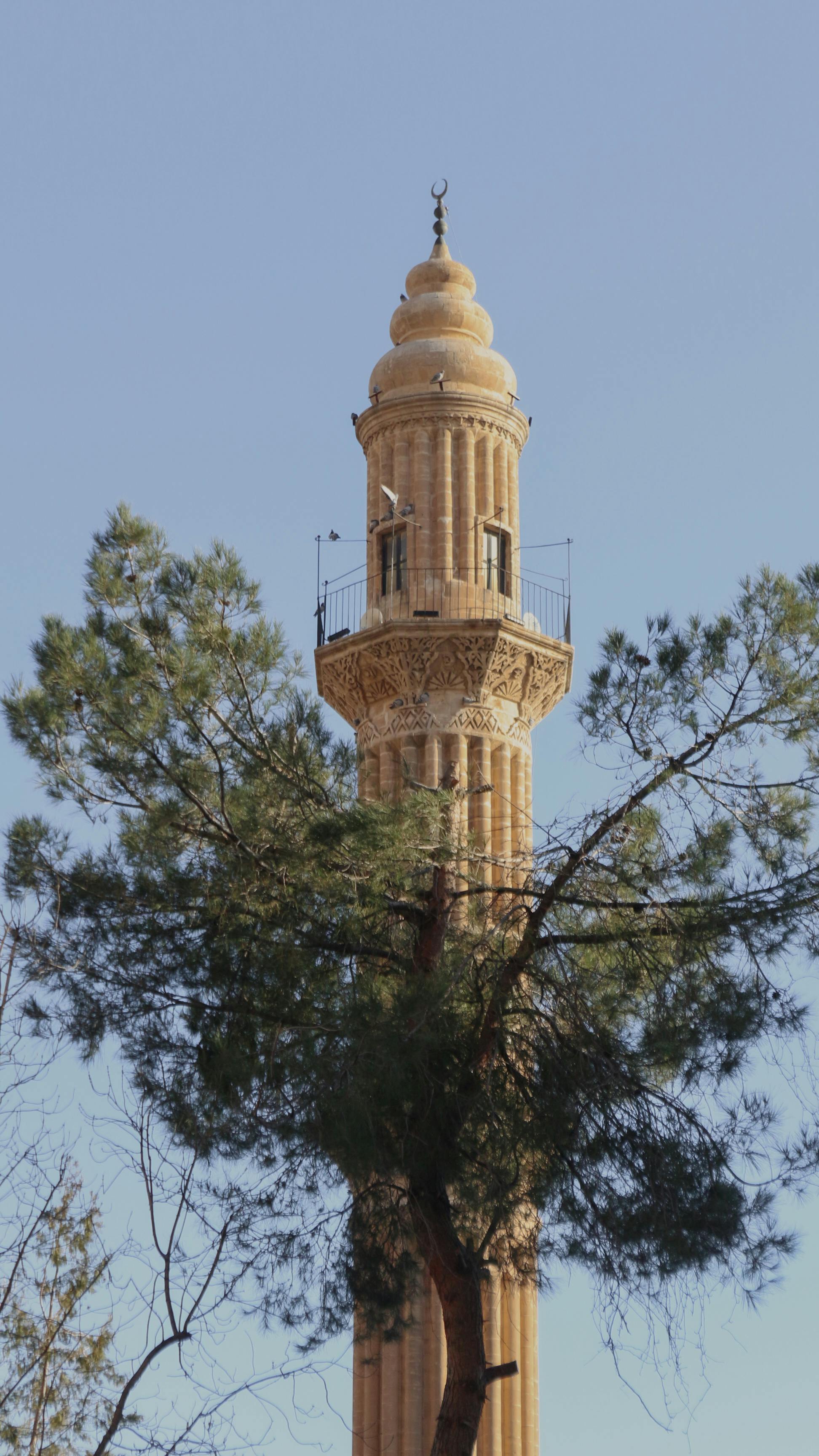 Zahide Taş - Photography