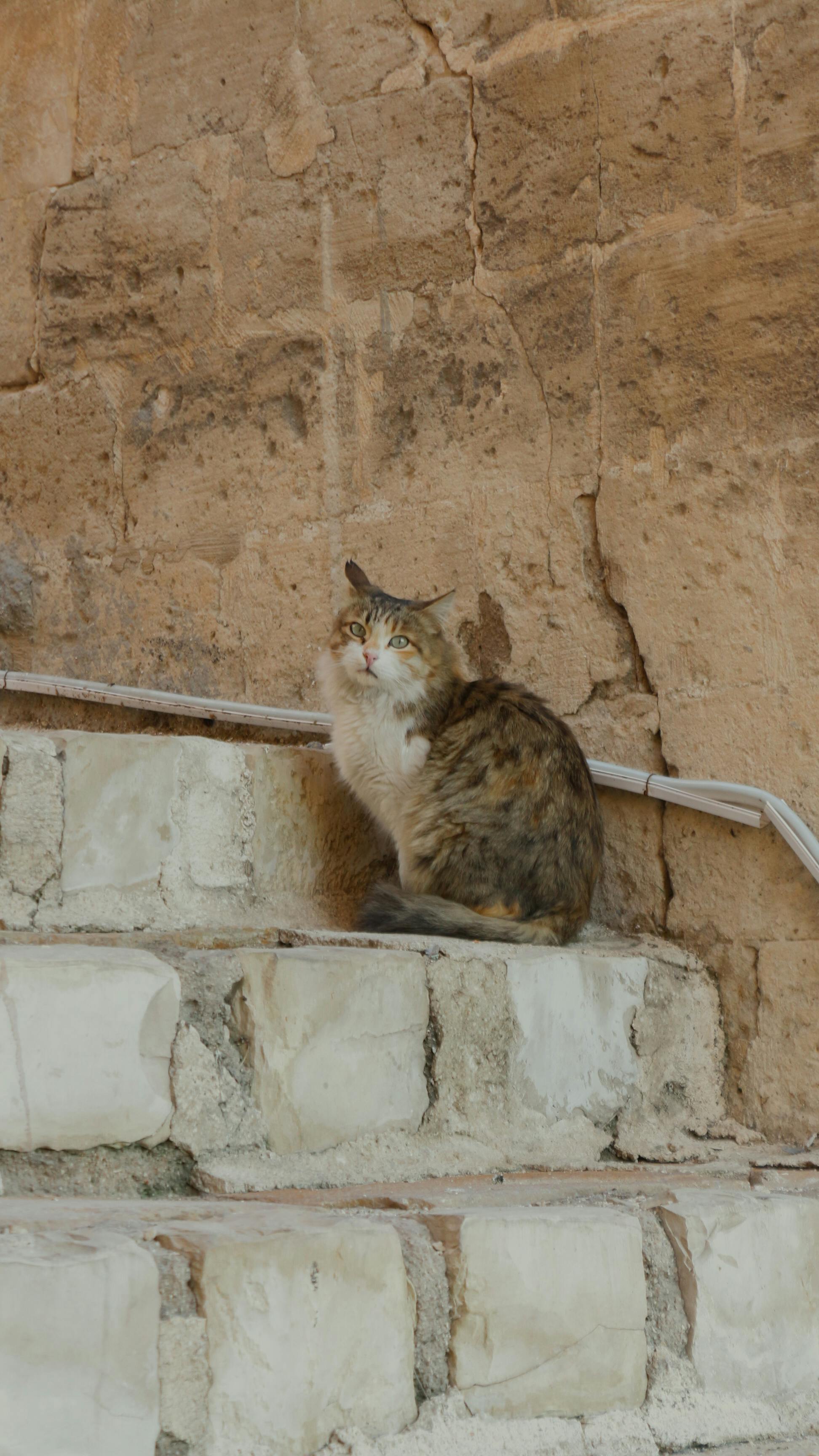 Zahide Taş - Photography