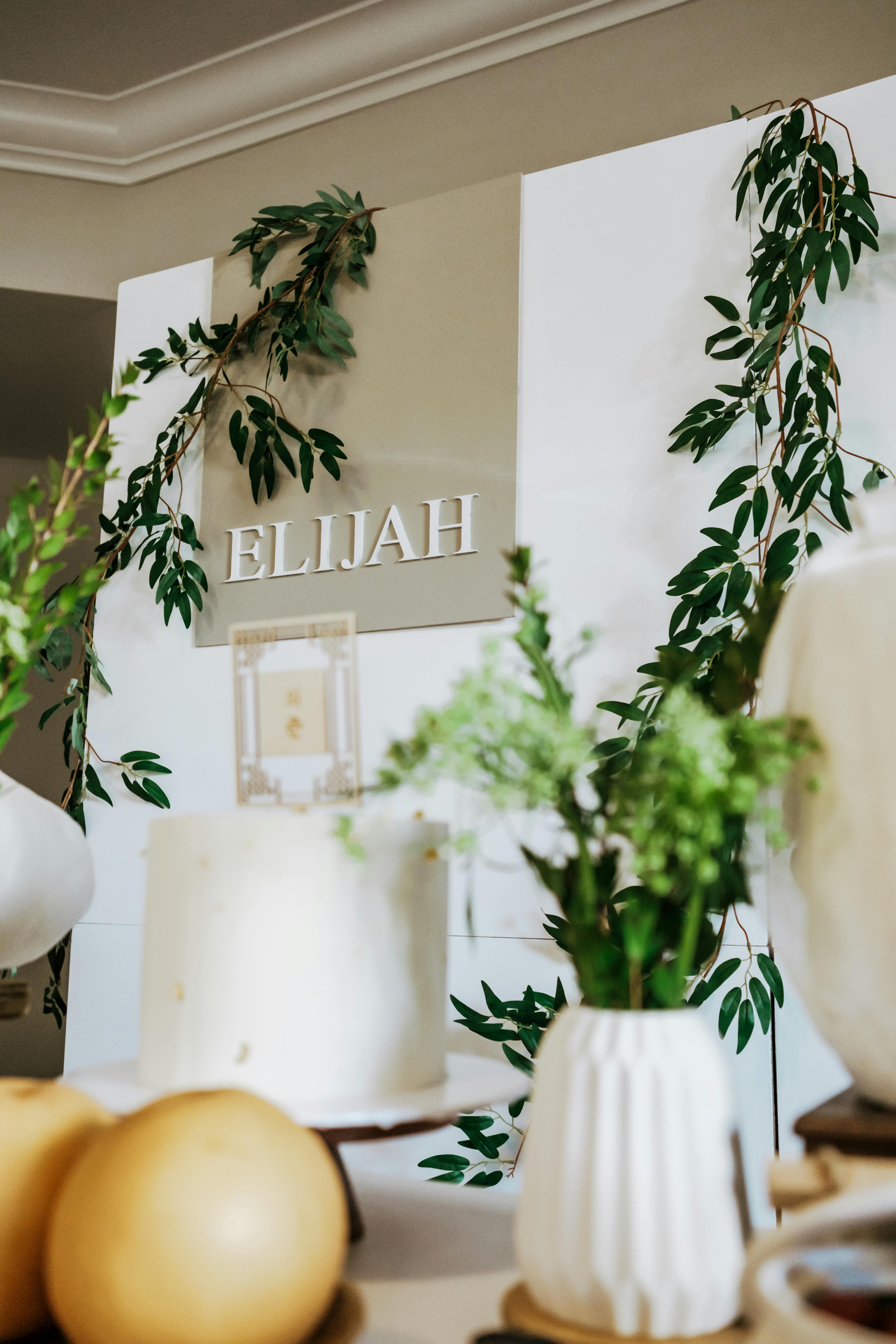 Decorations and Plants at Dohl in Korea · Free Stock Photo