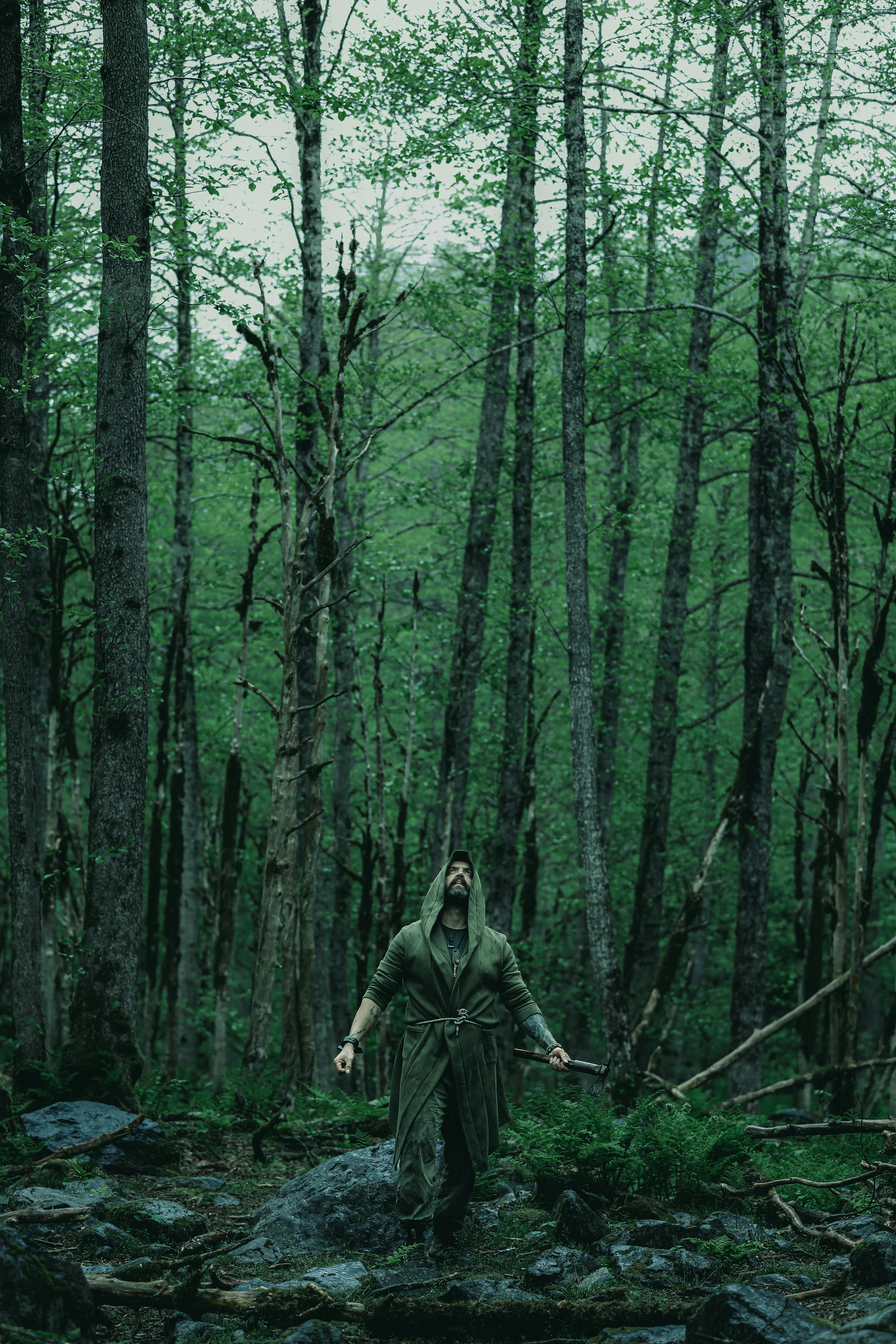 Man in Robes in Deep Forest · Free Stock Photo