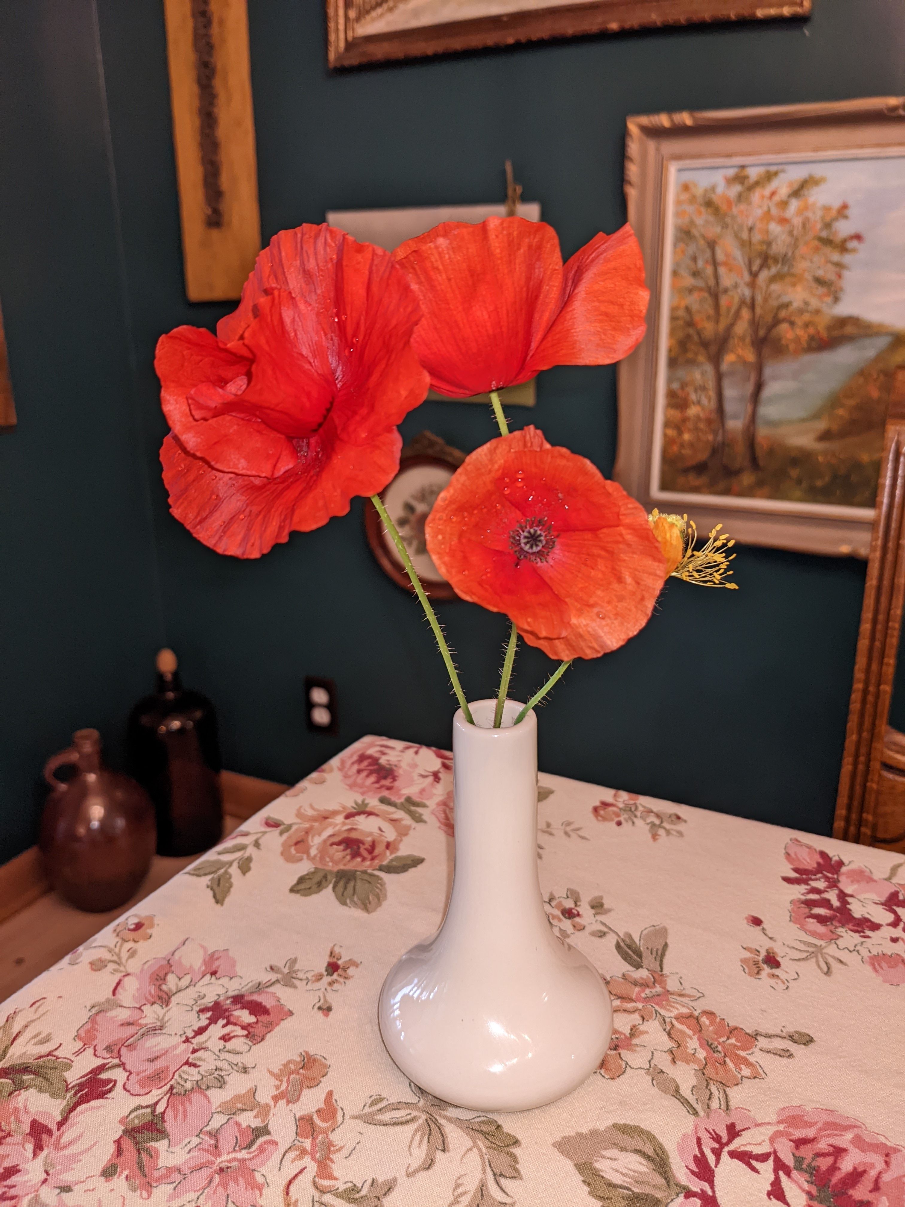 Red Poppies on Table · Free Stock Photo
