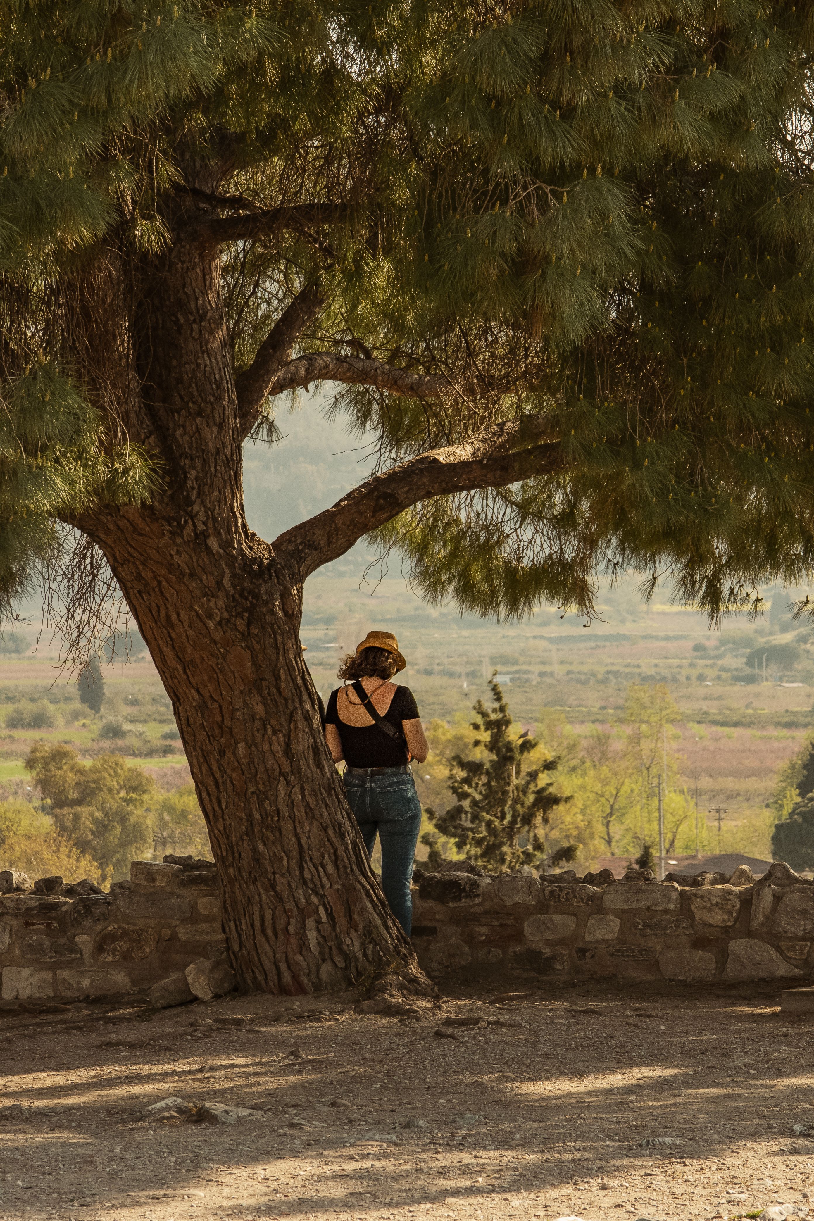 Woman Under the Tree by the Shore · Free Stock Photo