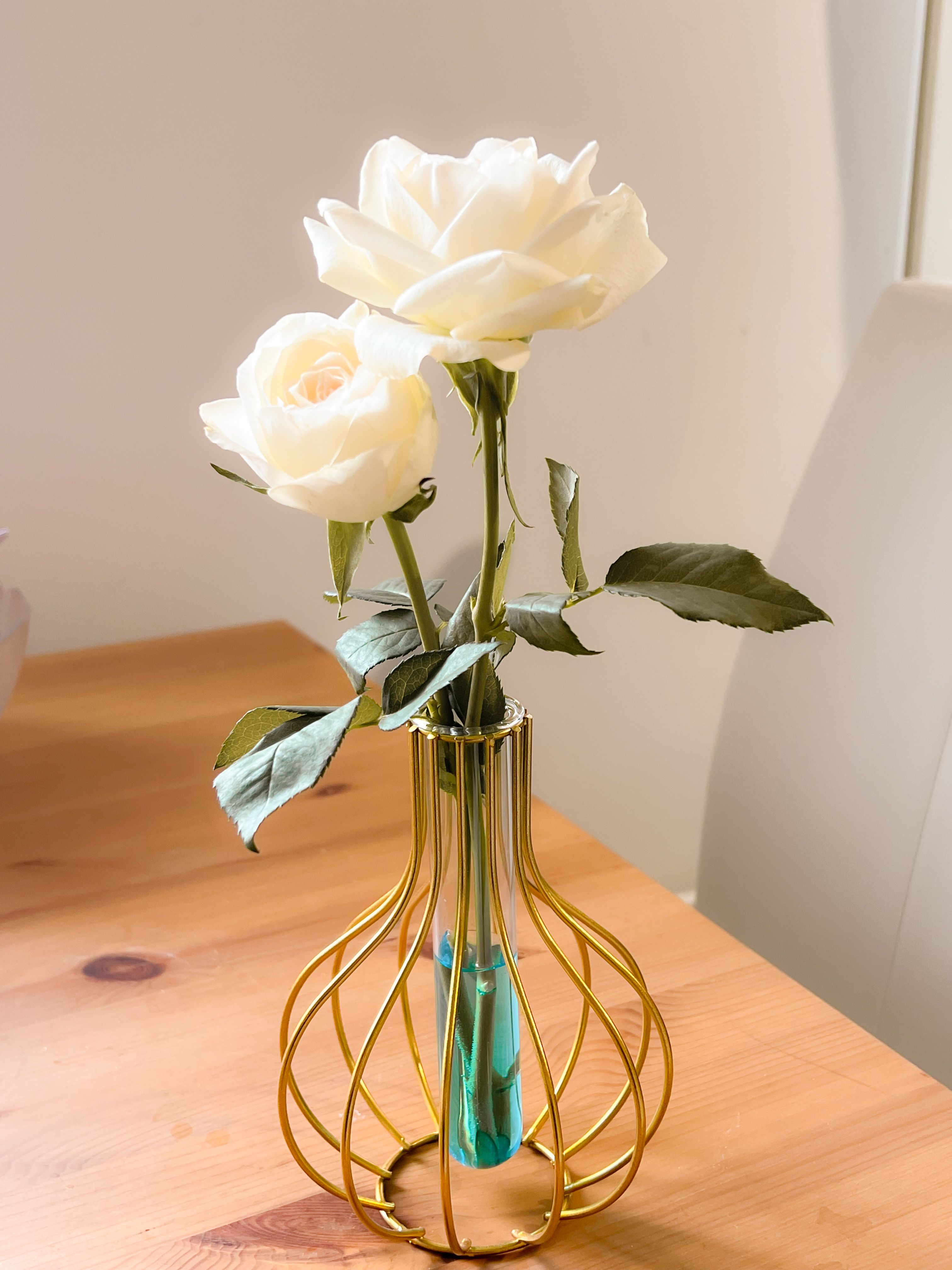 Close-up of White Roses in a Vase Standing on a Table · Free Stock Photo