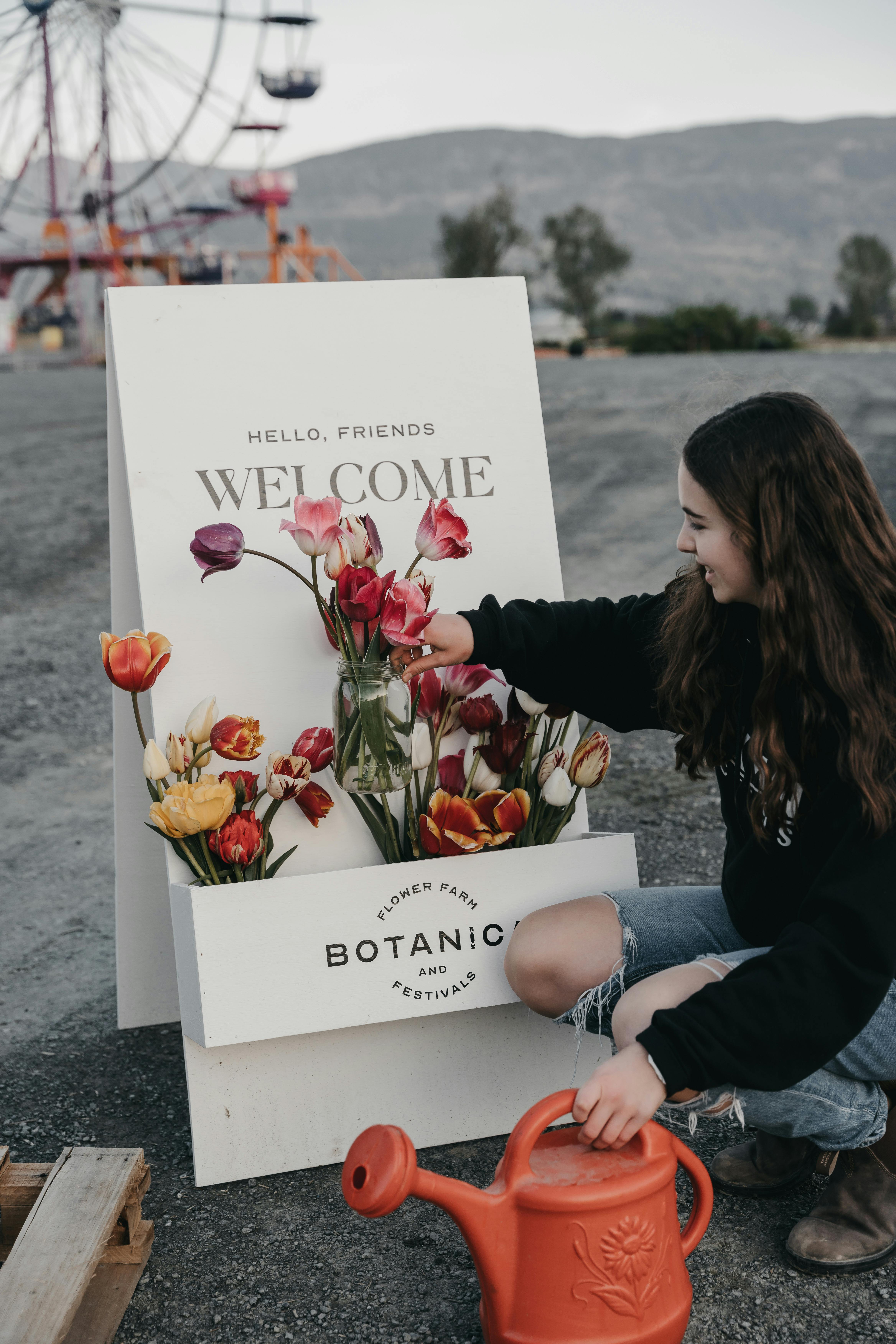 1.000+ melhores imagens de Traseul Rip · Download 100% grátis · Fotos ...