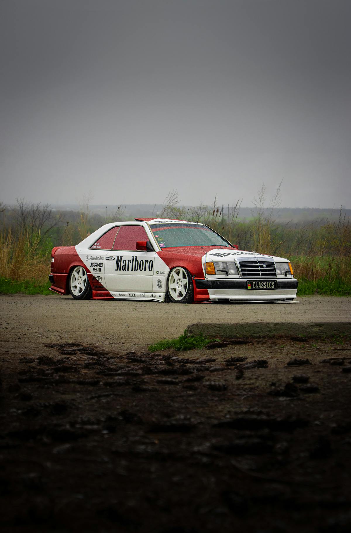 Decal Photos, Download The BEST Free Decal Stock Photos & HD Images