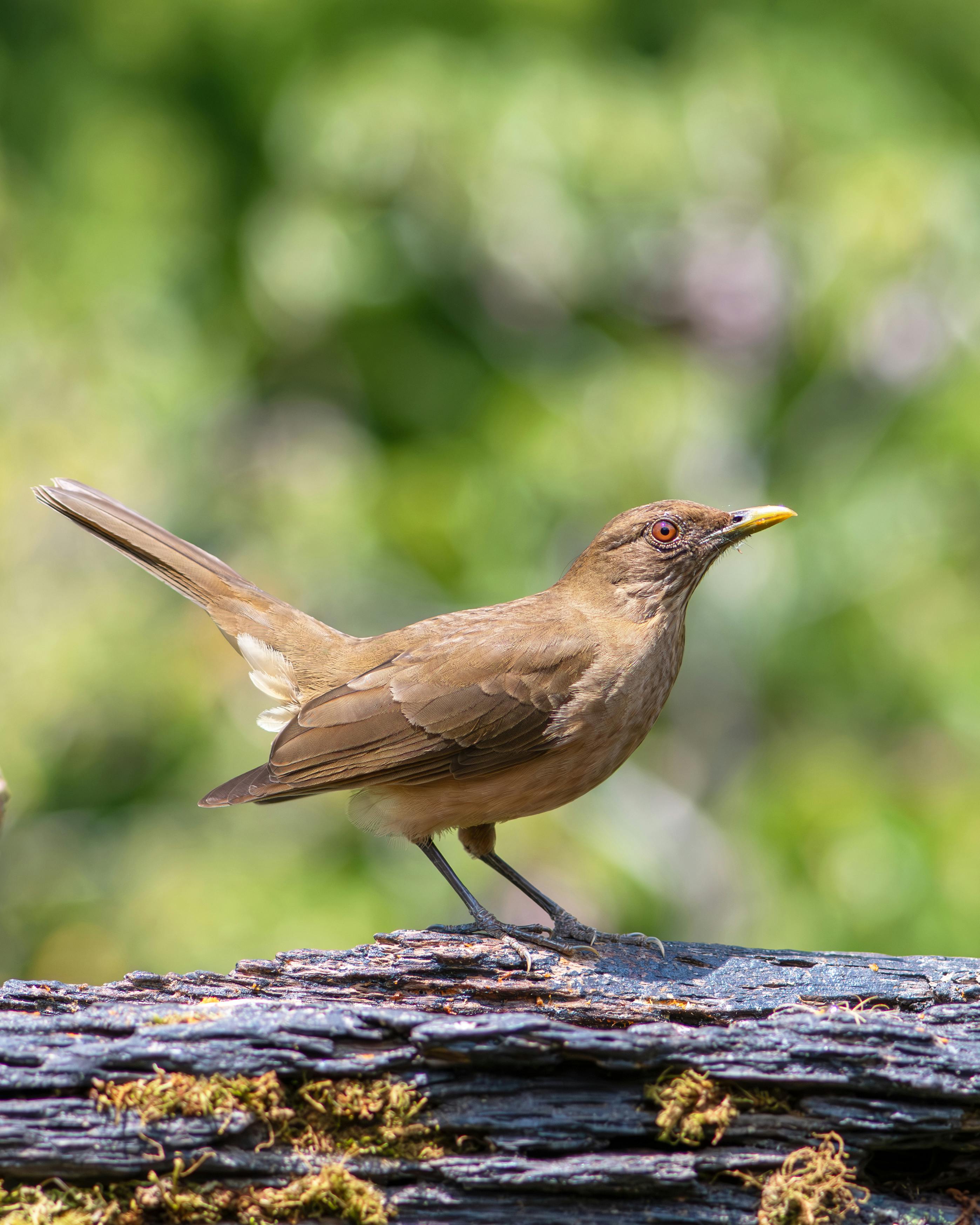 Best Bokep+grayis Photos · 100% Free Download · Pexels Stock Photos