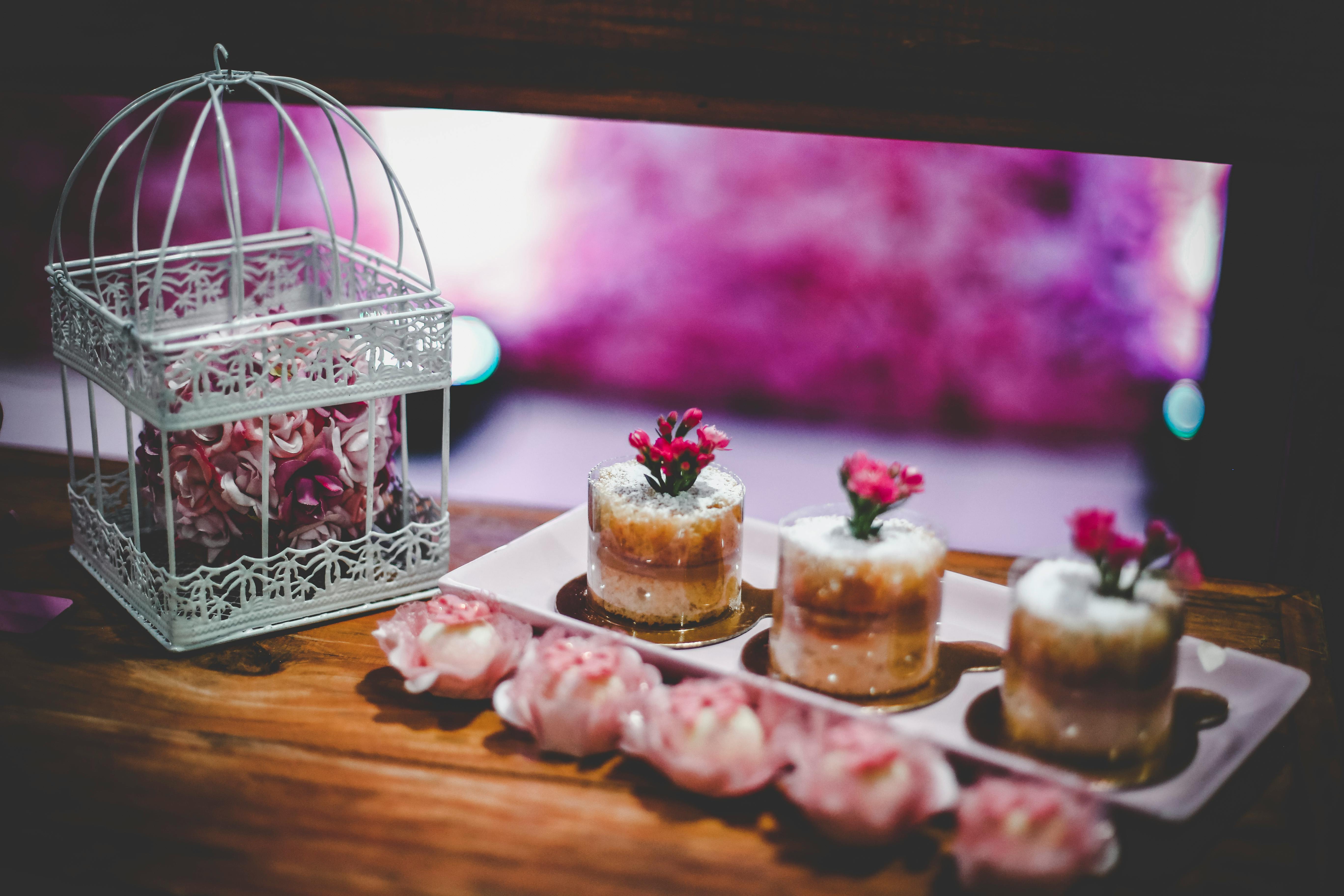 Pastries On White Ceramic Tray · Free Stock Photo