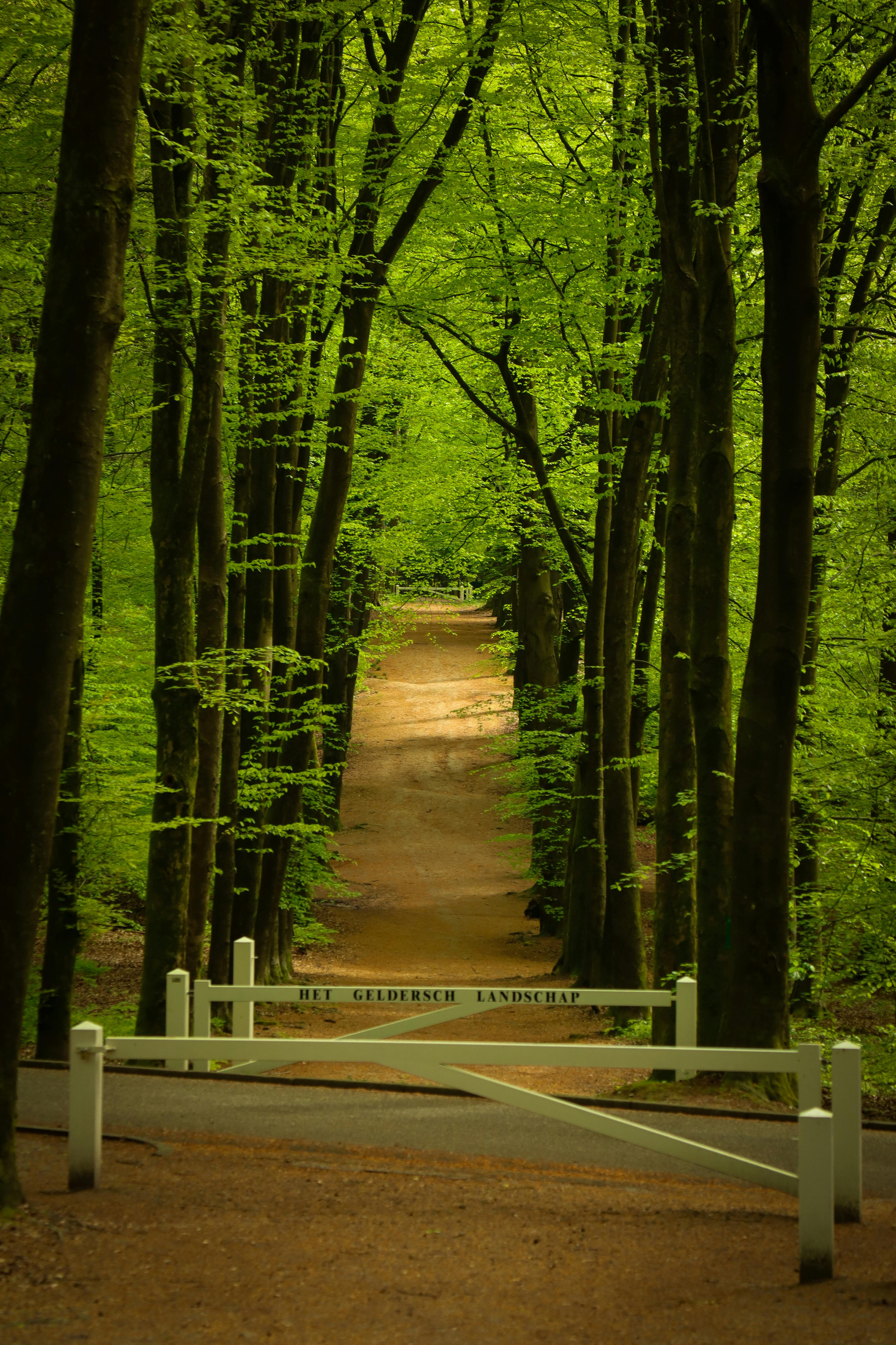 Day Het Photos, Download The BEST Free Day Het Stock Photos & HD Images