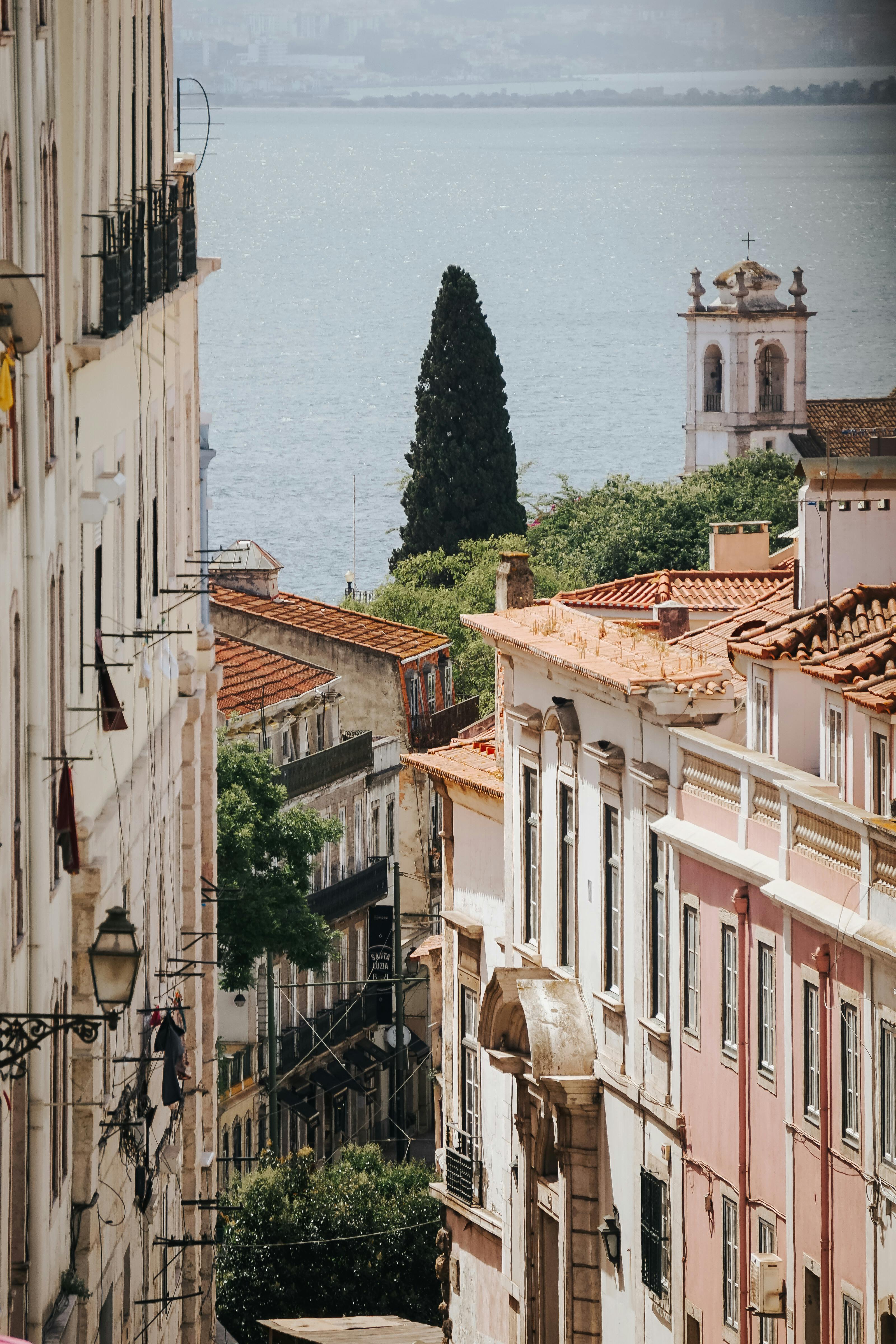 April Baker Bell Photos, Download The BEST Free April Baker Bell Stock ...