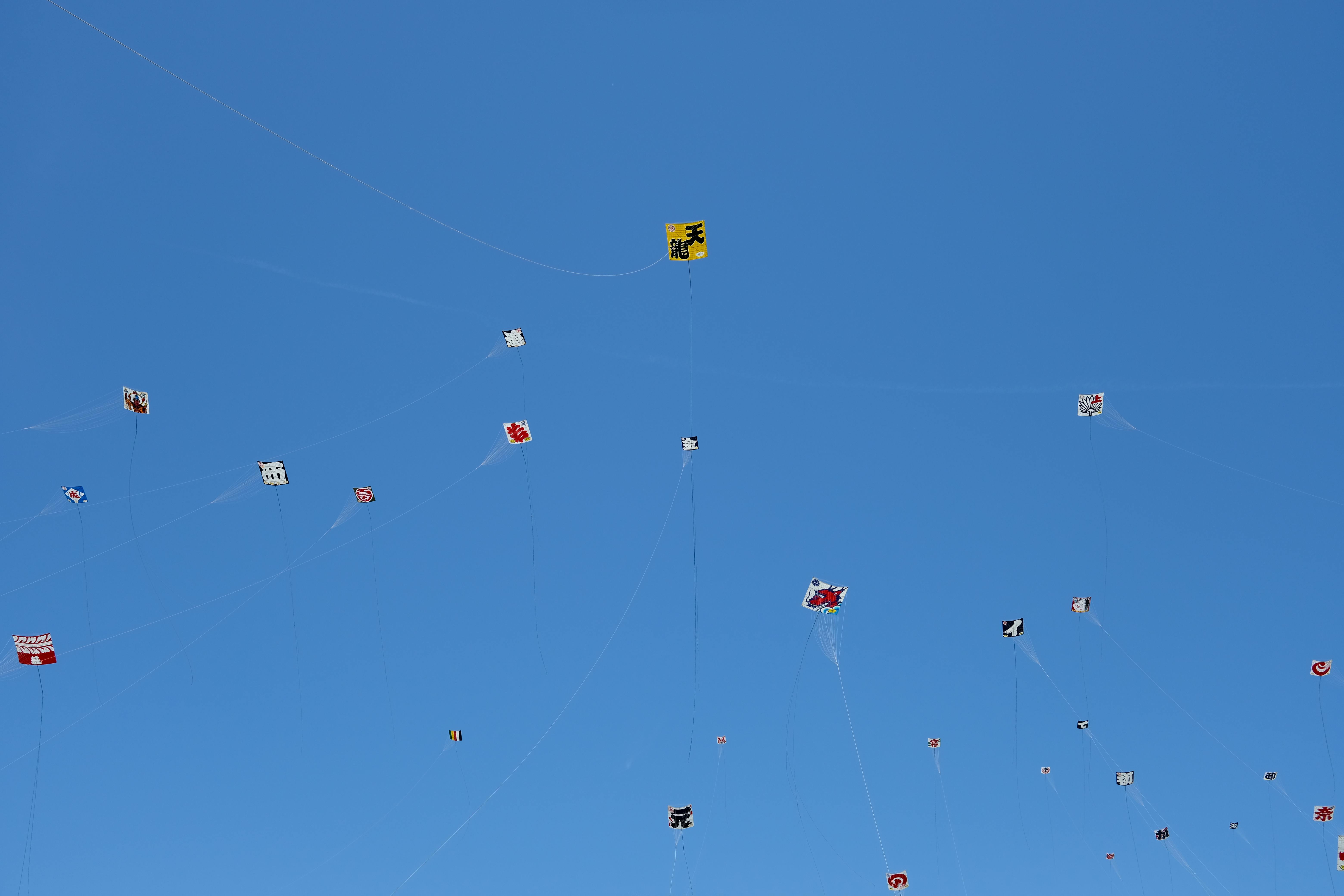 View of Kites Flying against a Clear, Blue Sky at the Hamamatsu Kite ...