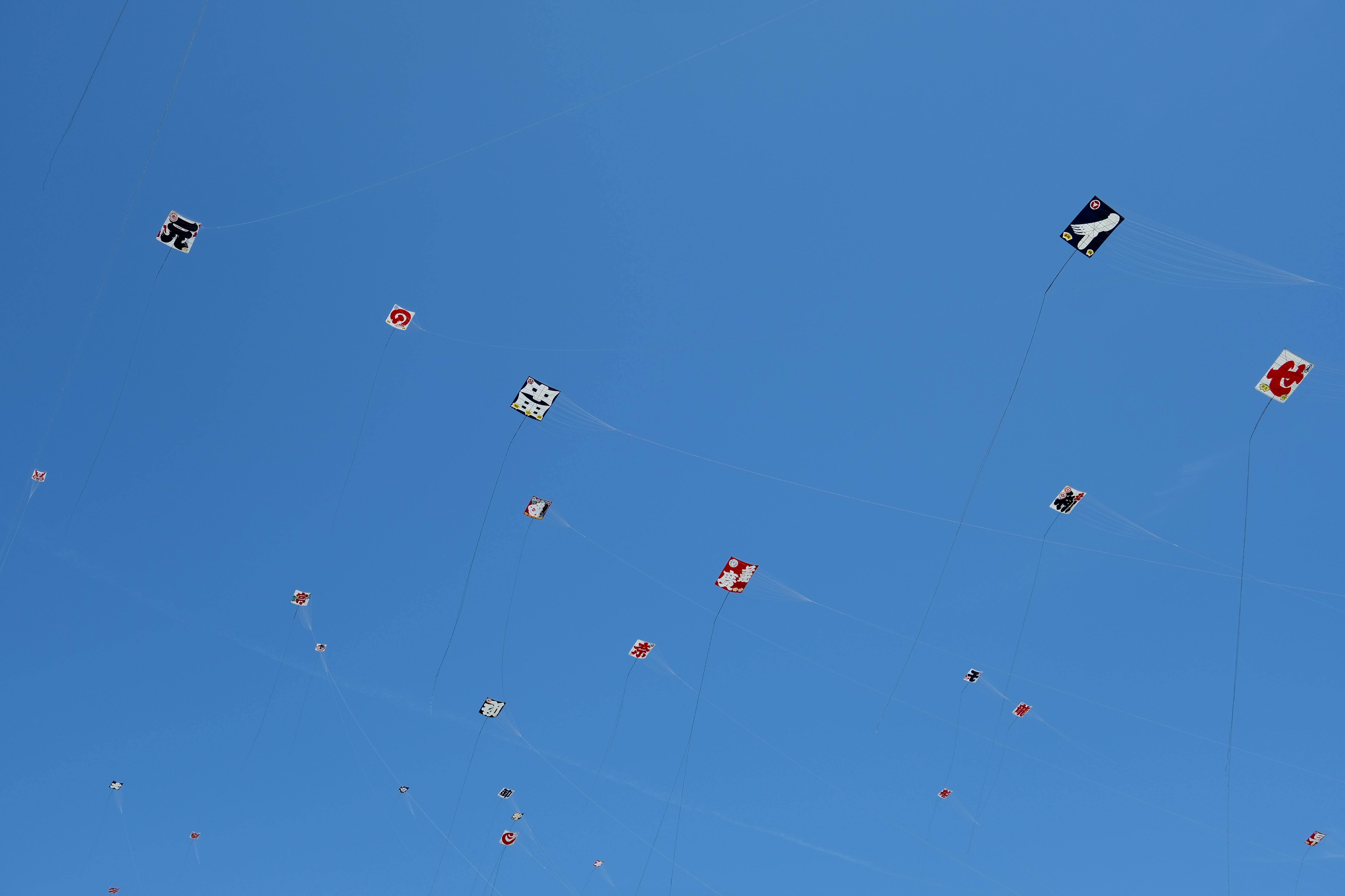 View of Kites Flying against a Clear, Blue Sky at the Hamamatsu Kite ...