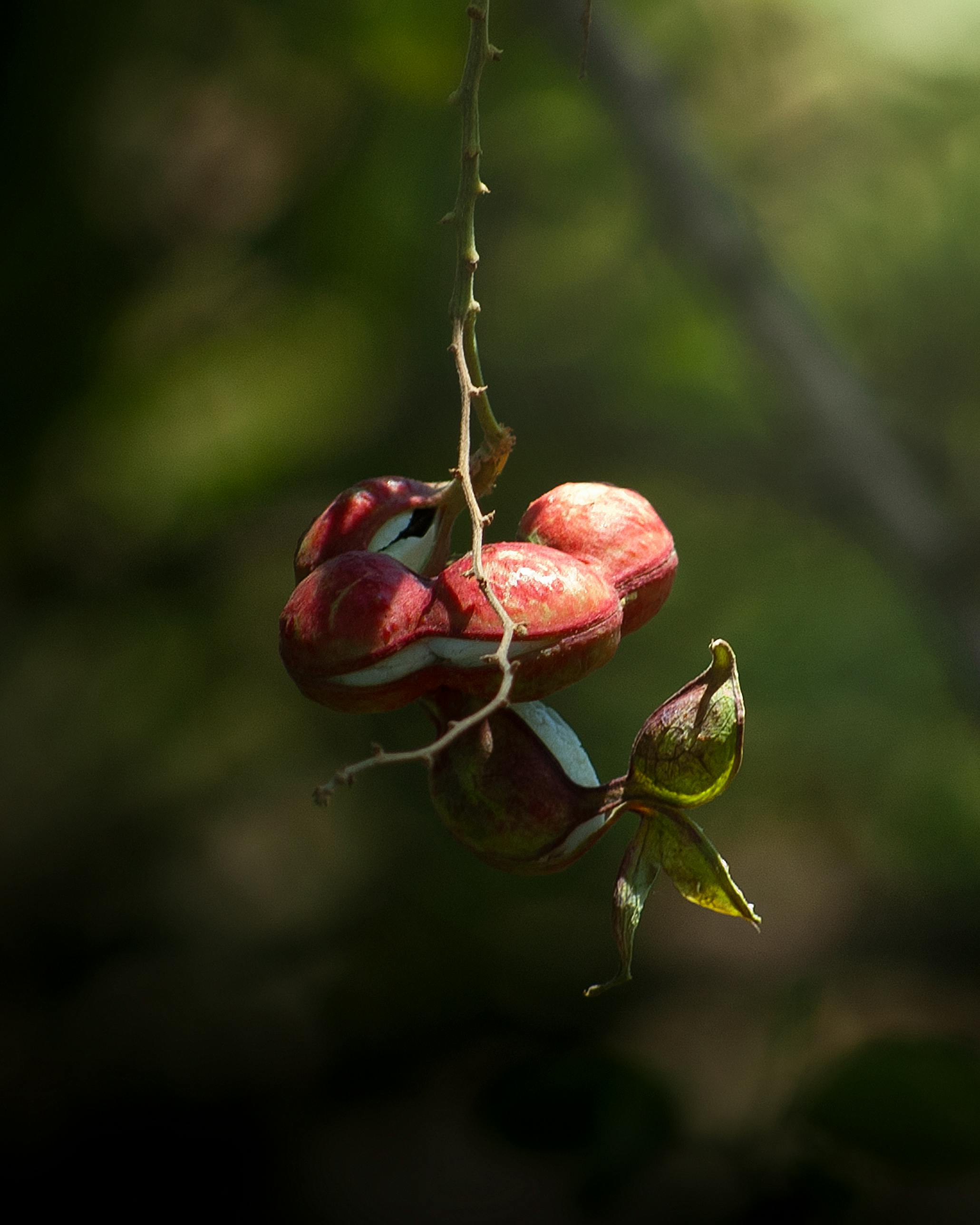 External Exposure - Photography