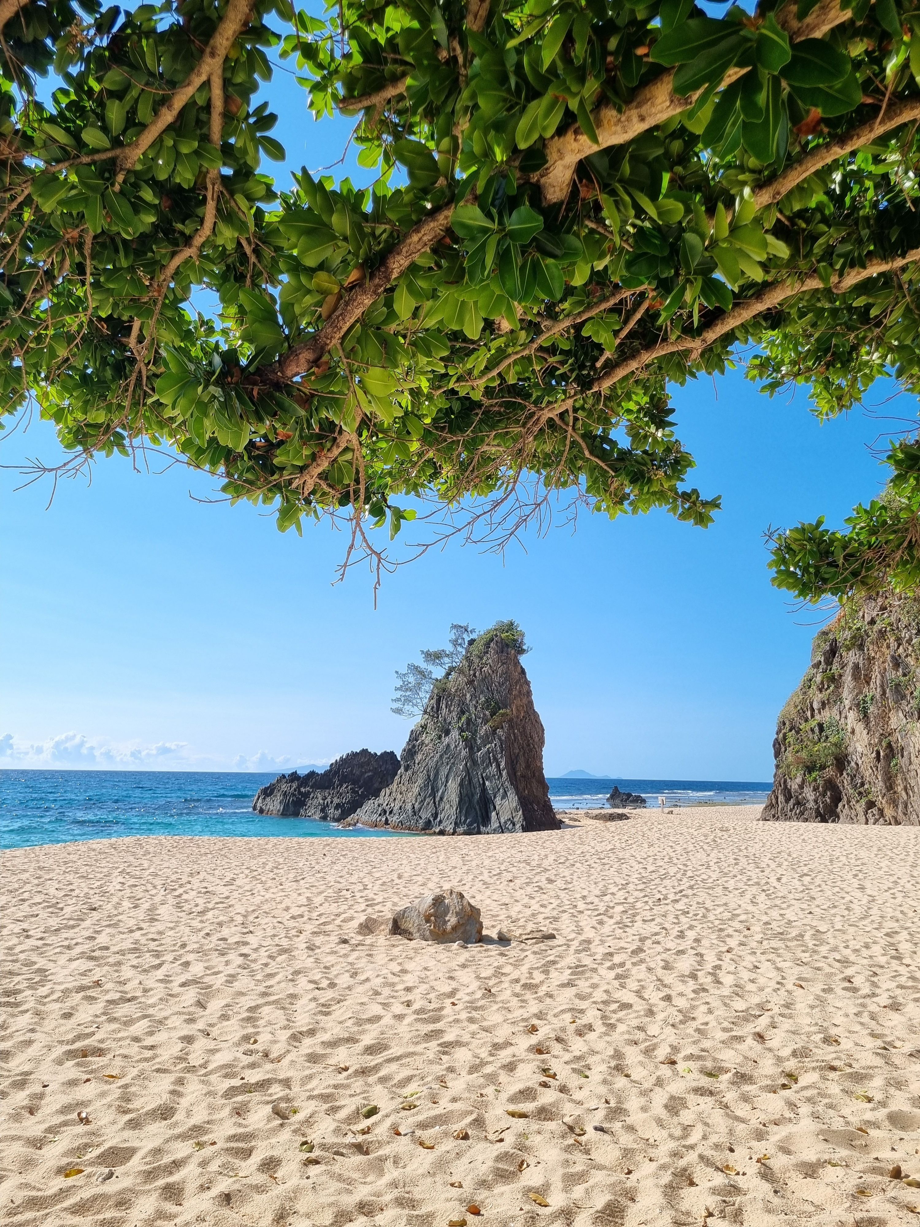 Tree Branches over Beach with Rock Formation on Sea Shore · Free Stock ...