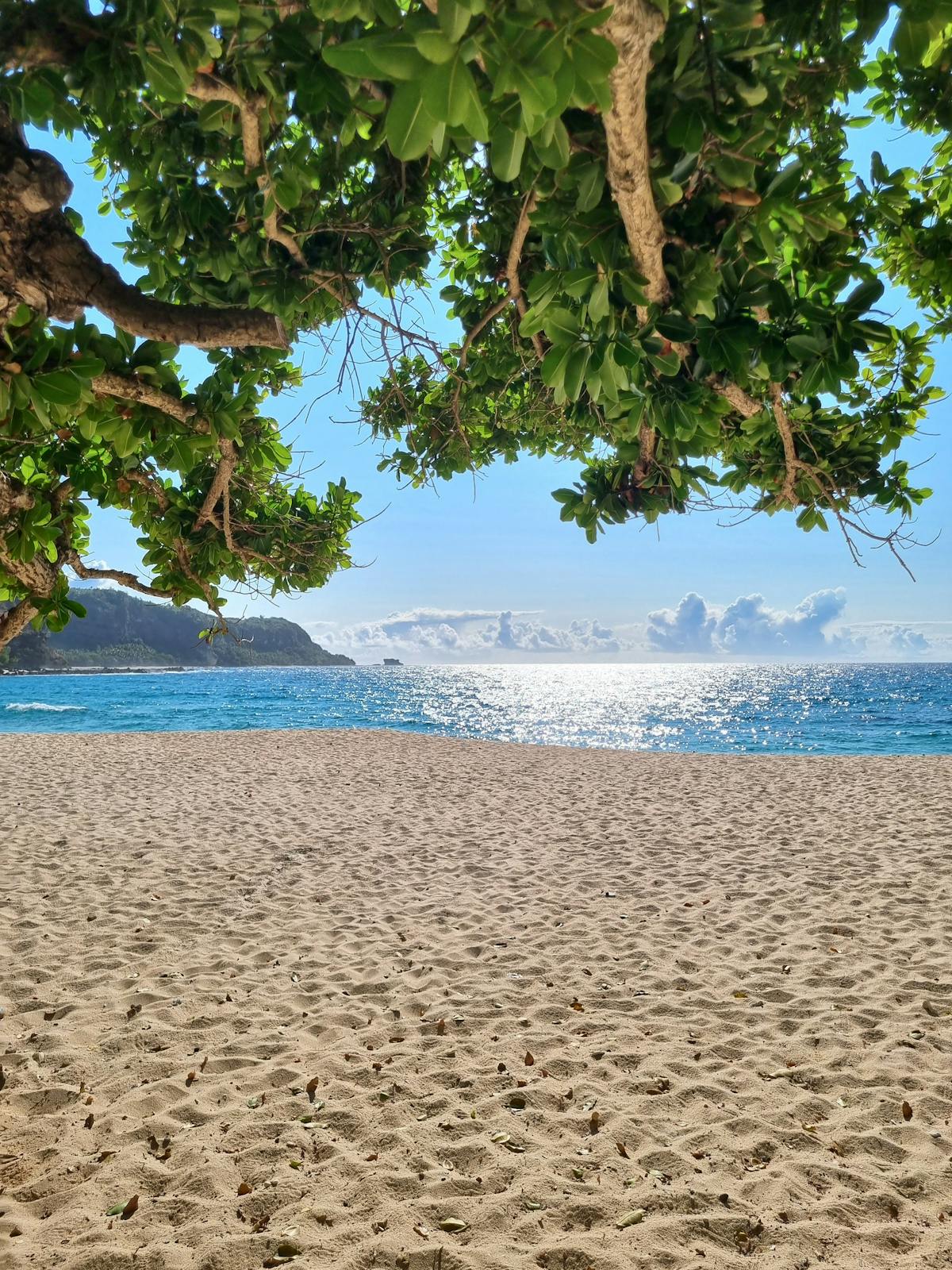 Summer Nature Photos, Download The BEST Free Summer Nature Stock Photos ...