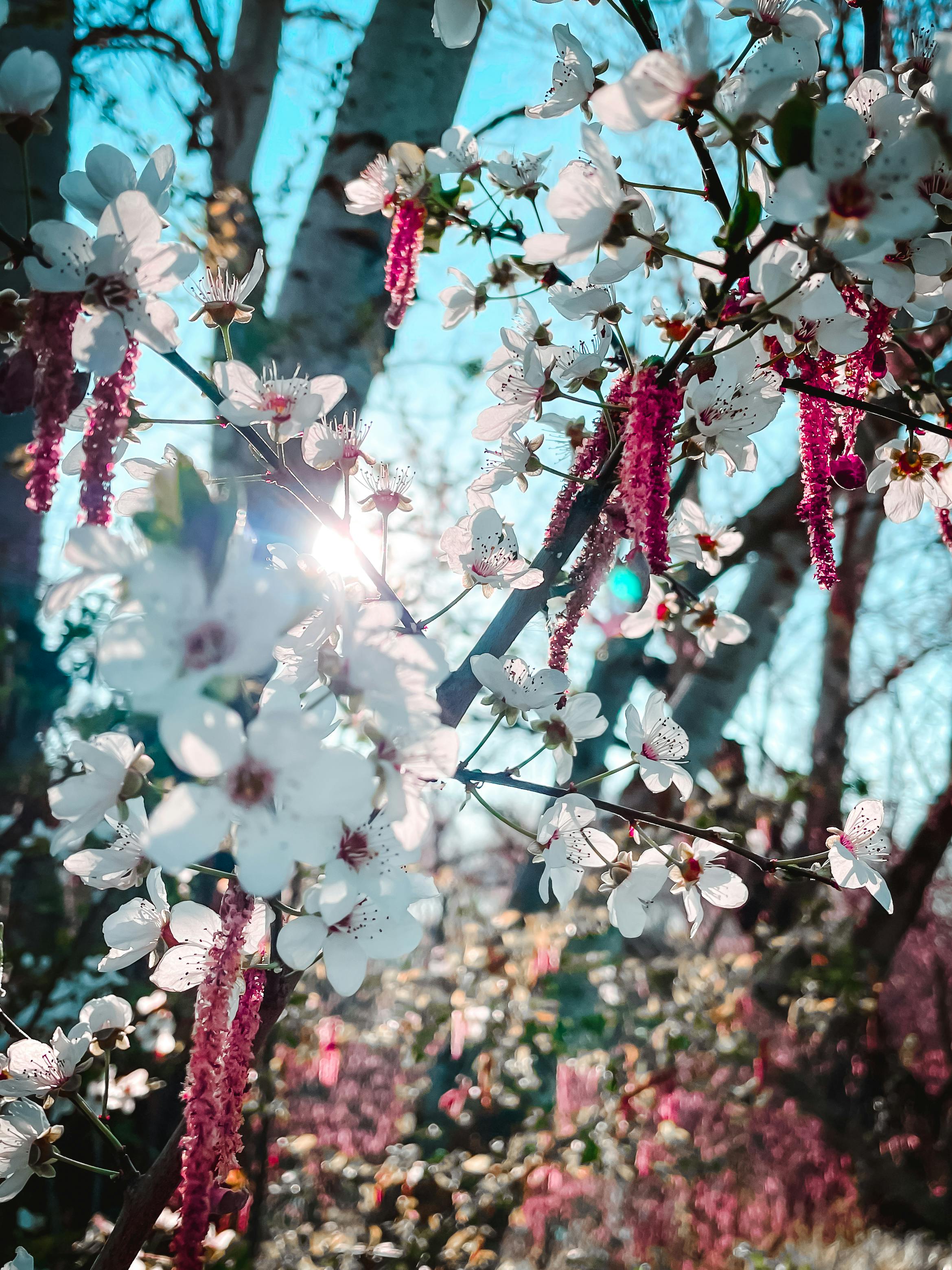 Ivan Georgiev - Photography