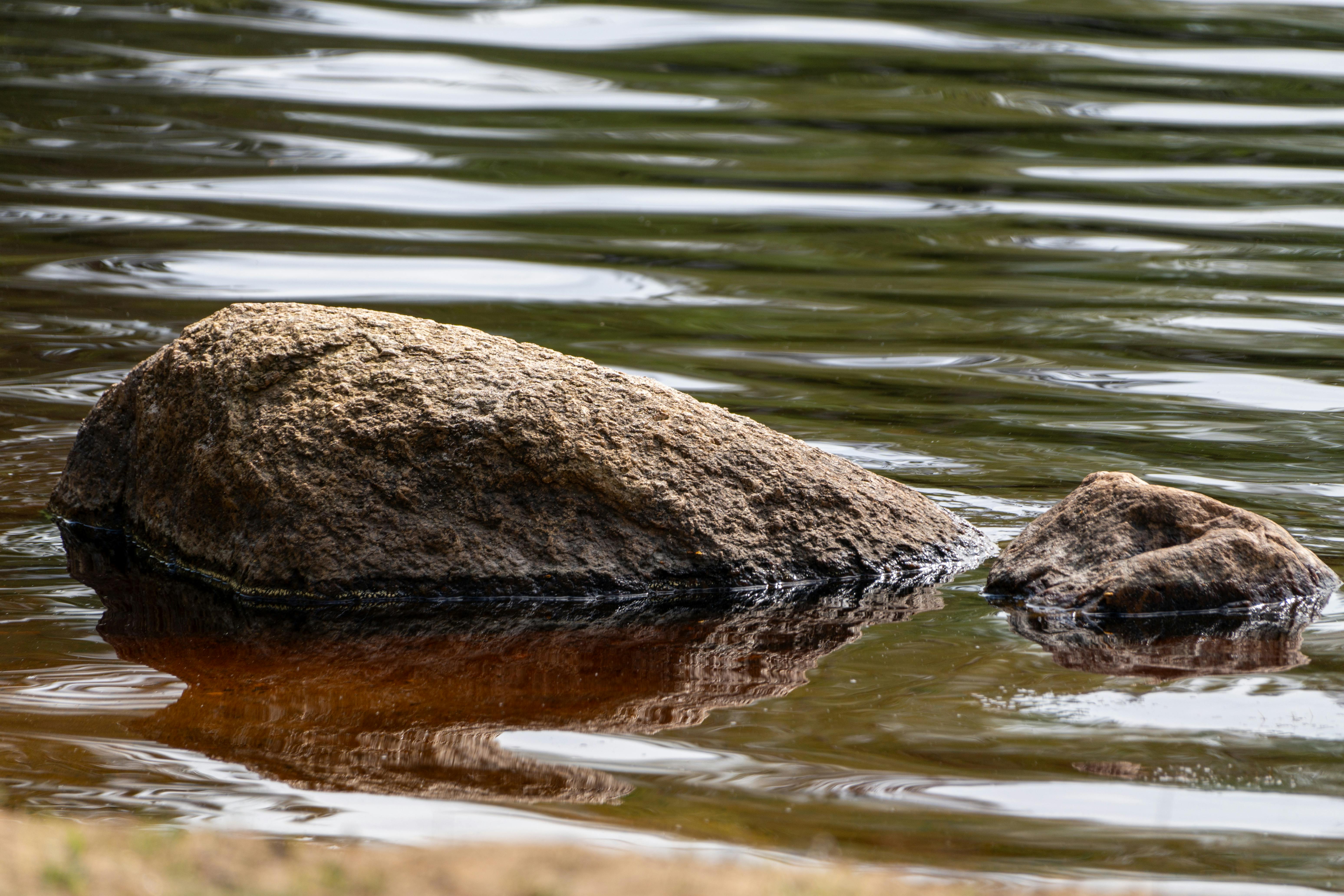 Close-up of Rocks in the Water · Free Stock Photo