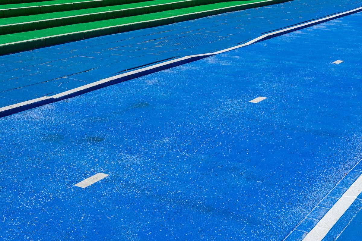 Track Hawk Photos, Download The BEST Free Track Hawk Stock Photos & HD ...