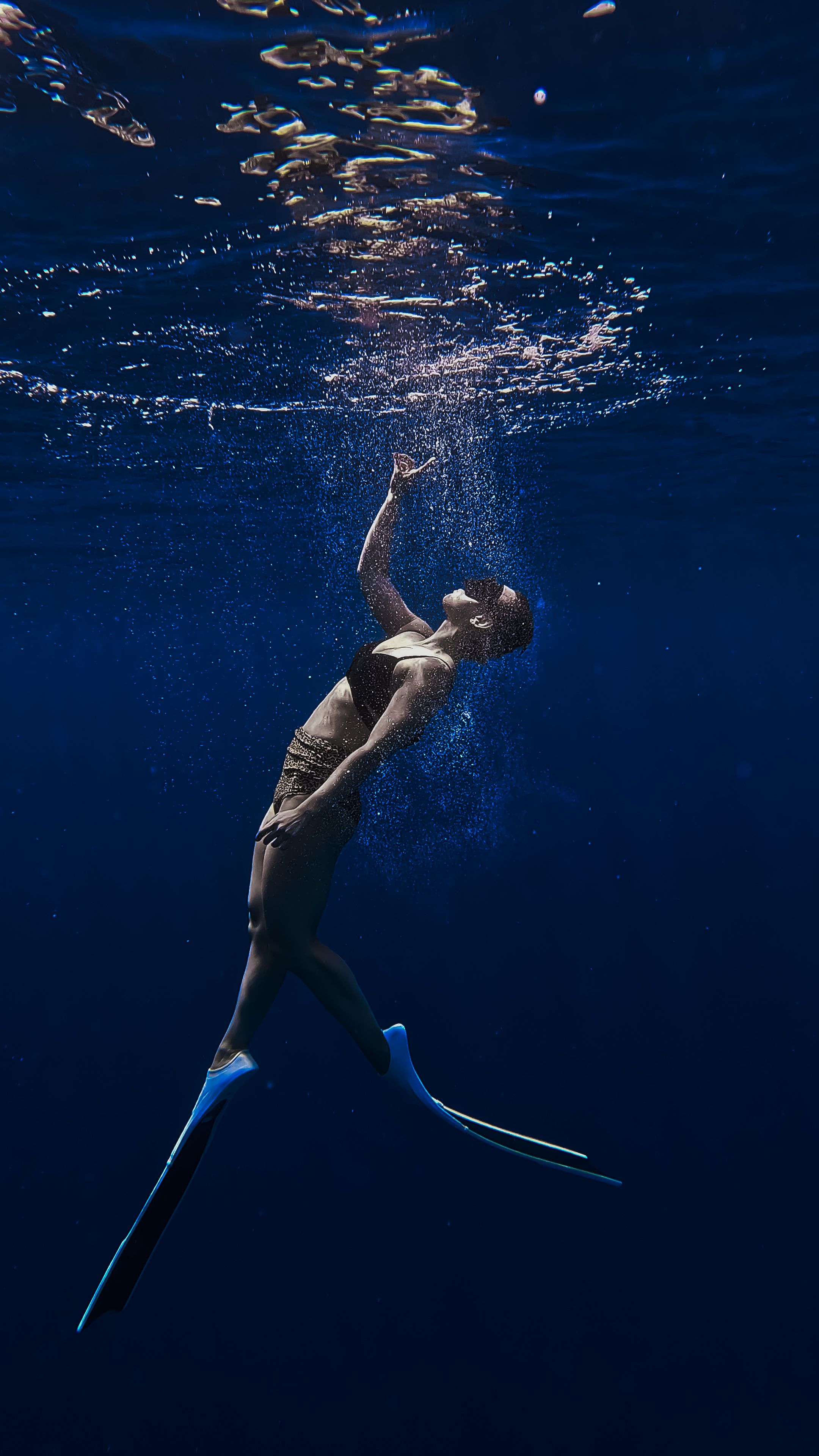 Unrestricted Diving Photos, Download The BEST Free Unrestricted Diving ...