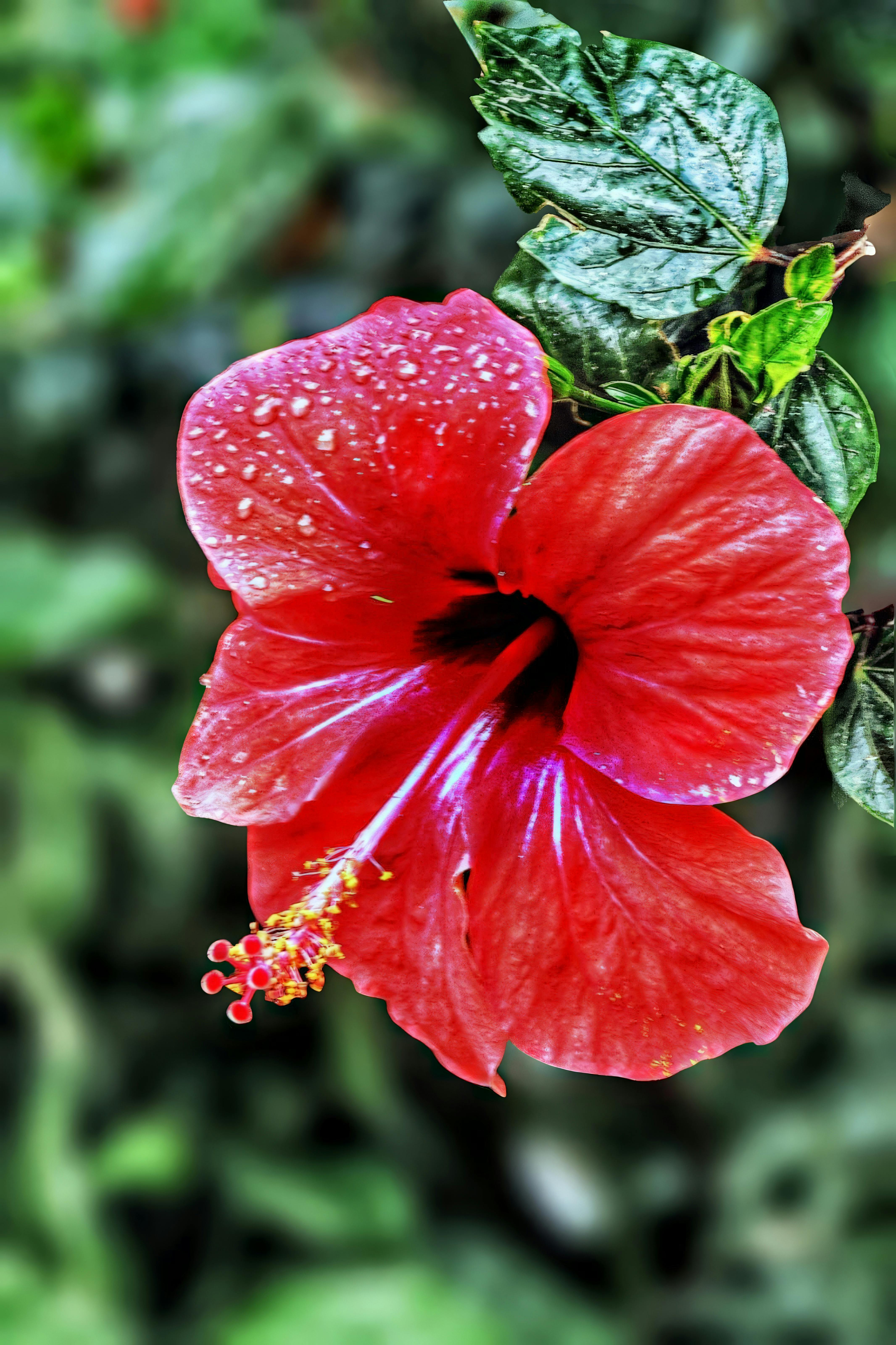 TEKİN GÜNGÖRMÜŞ - Photography