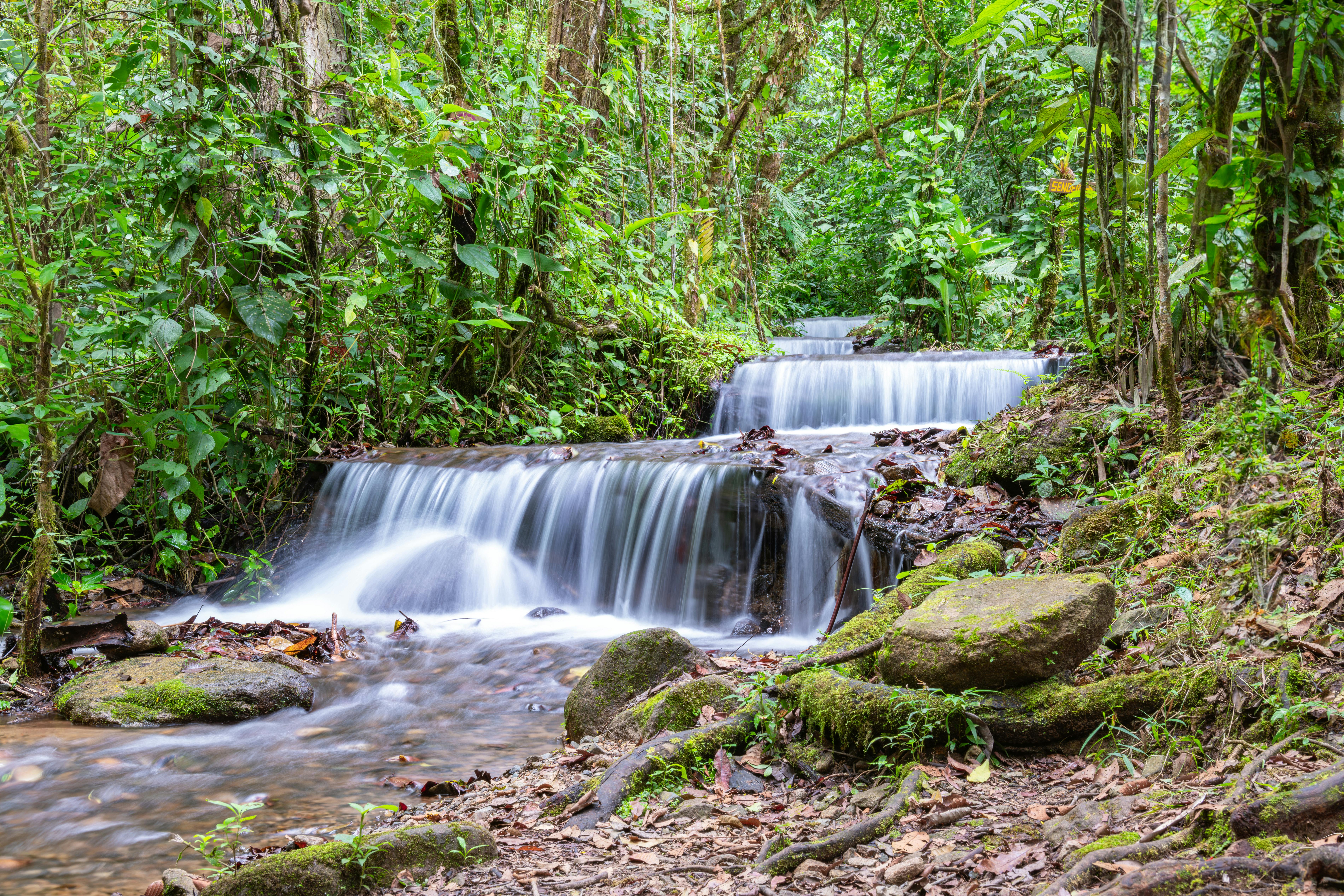 Waterfall Effects Photos, Download The BEST Free Waterfall Effects ...