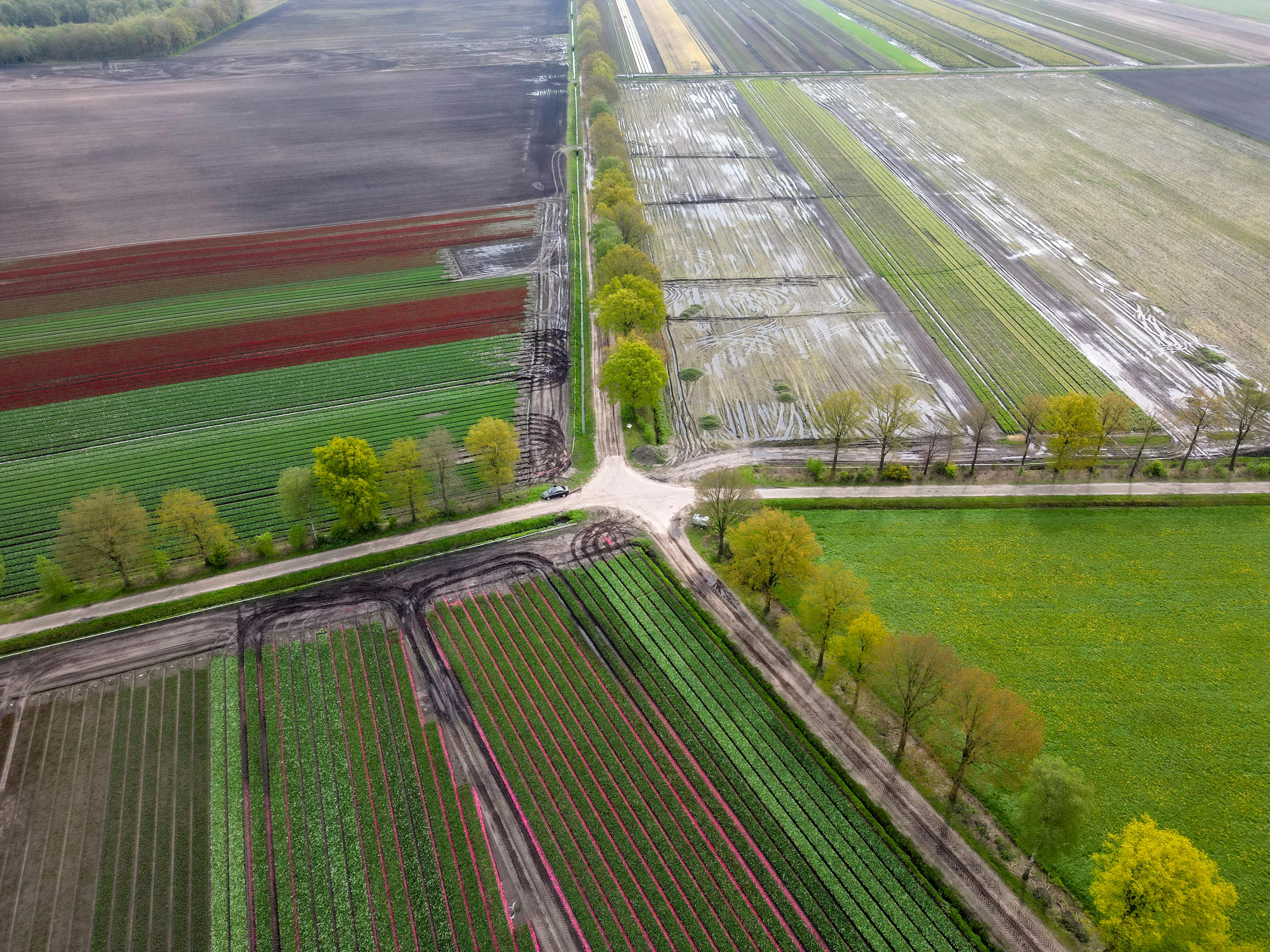 Planting Lines Photos, Download The BEST Free Planting Lines Stock ...