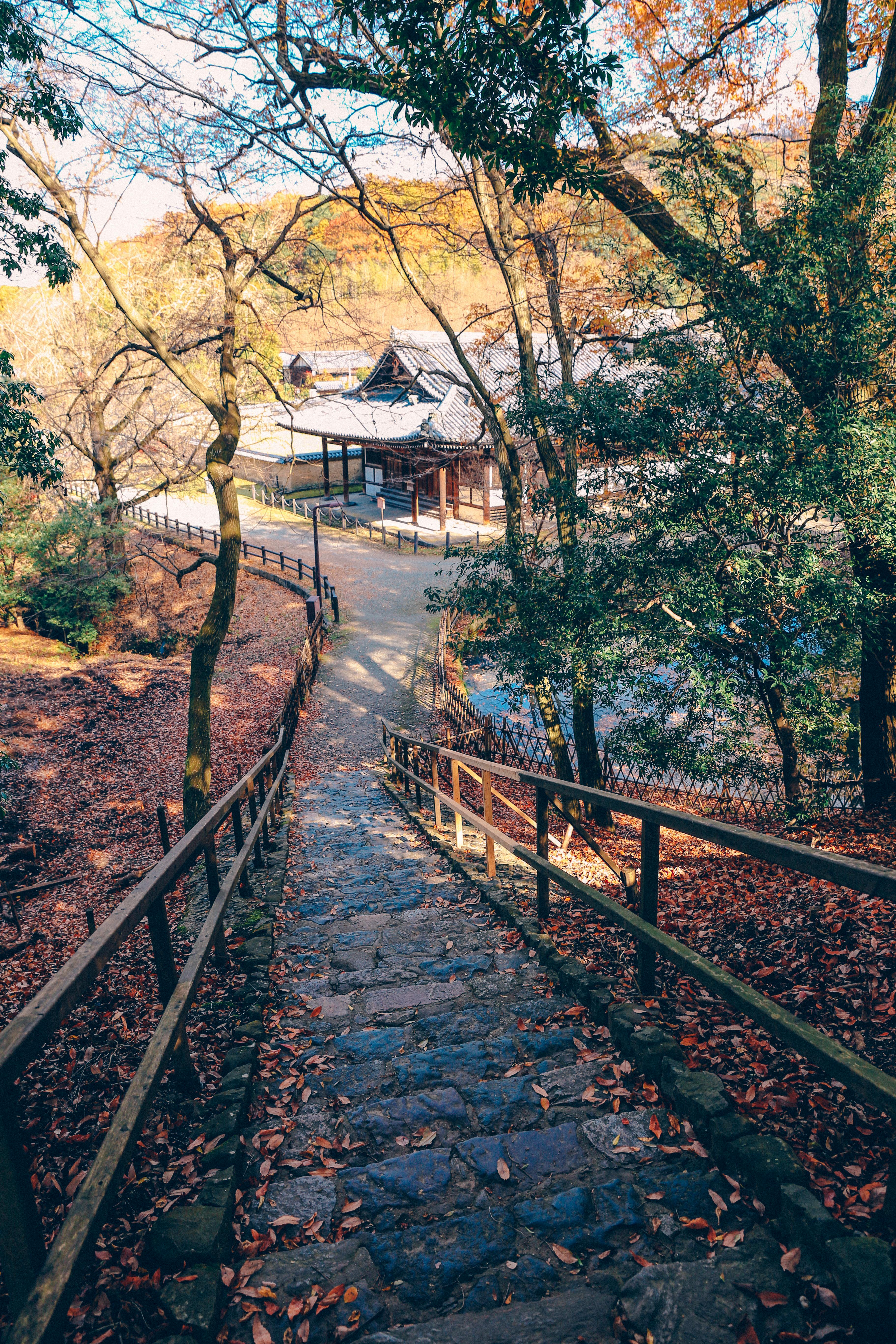 jiawei cui · 摄影