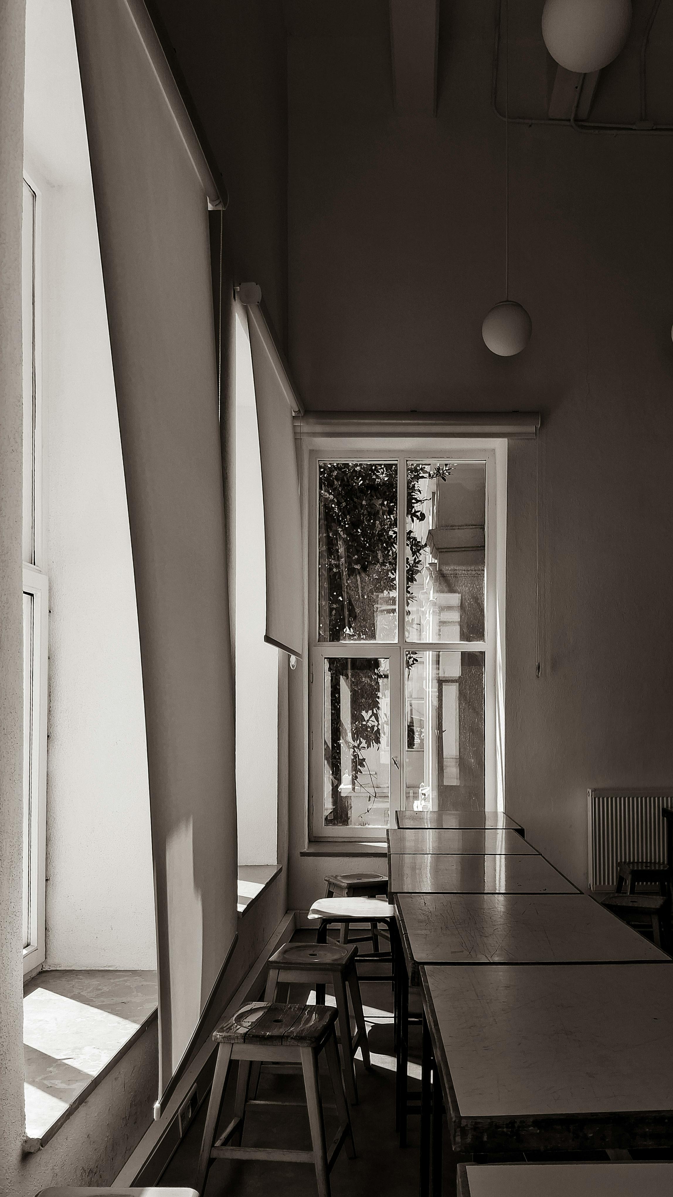 Zelf Sepia Photos, Download The BEST Free Zelf Sepia Stock Photos & HD ...