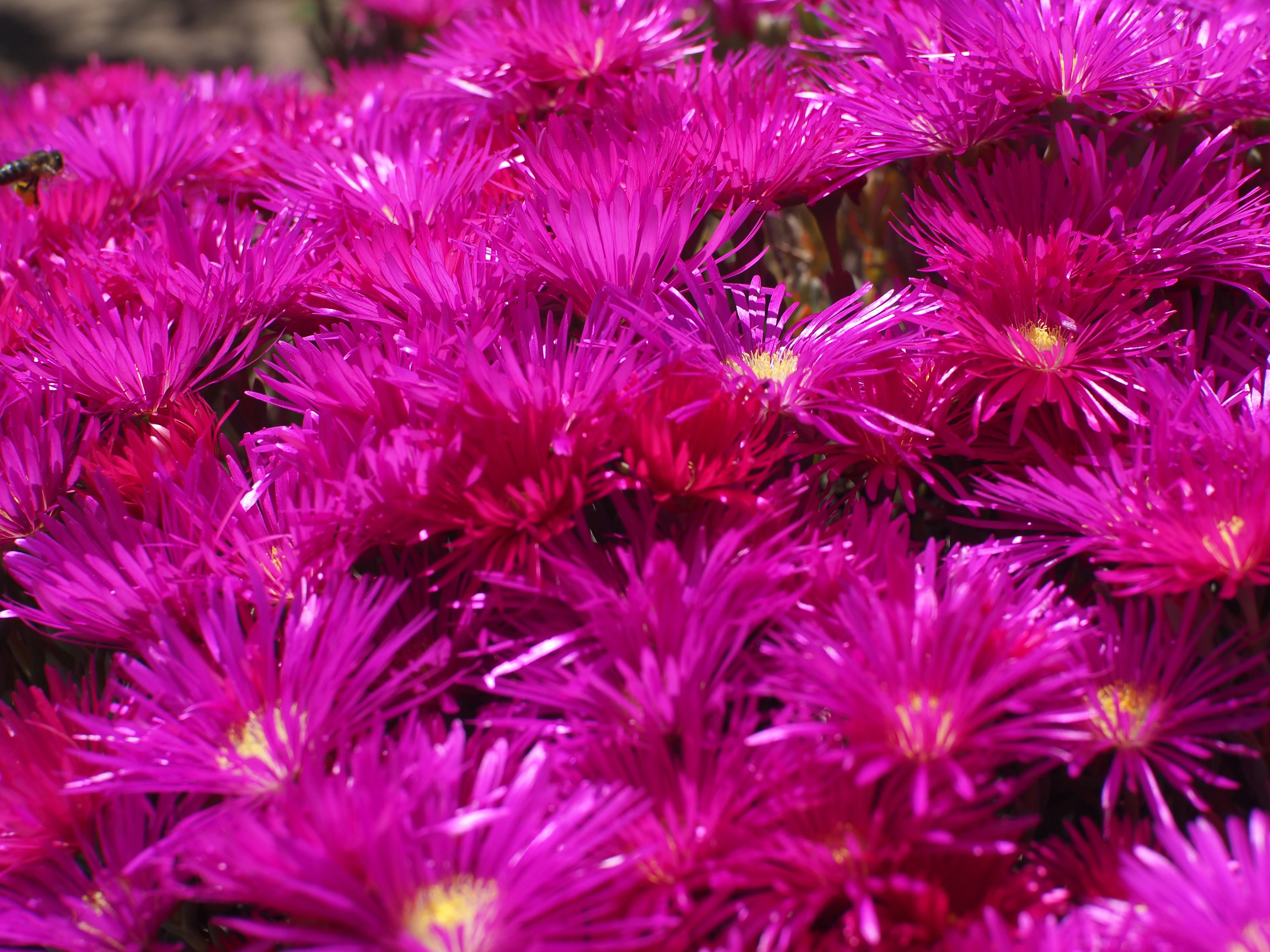 Maria Soler - Fotografía