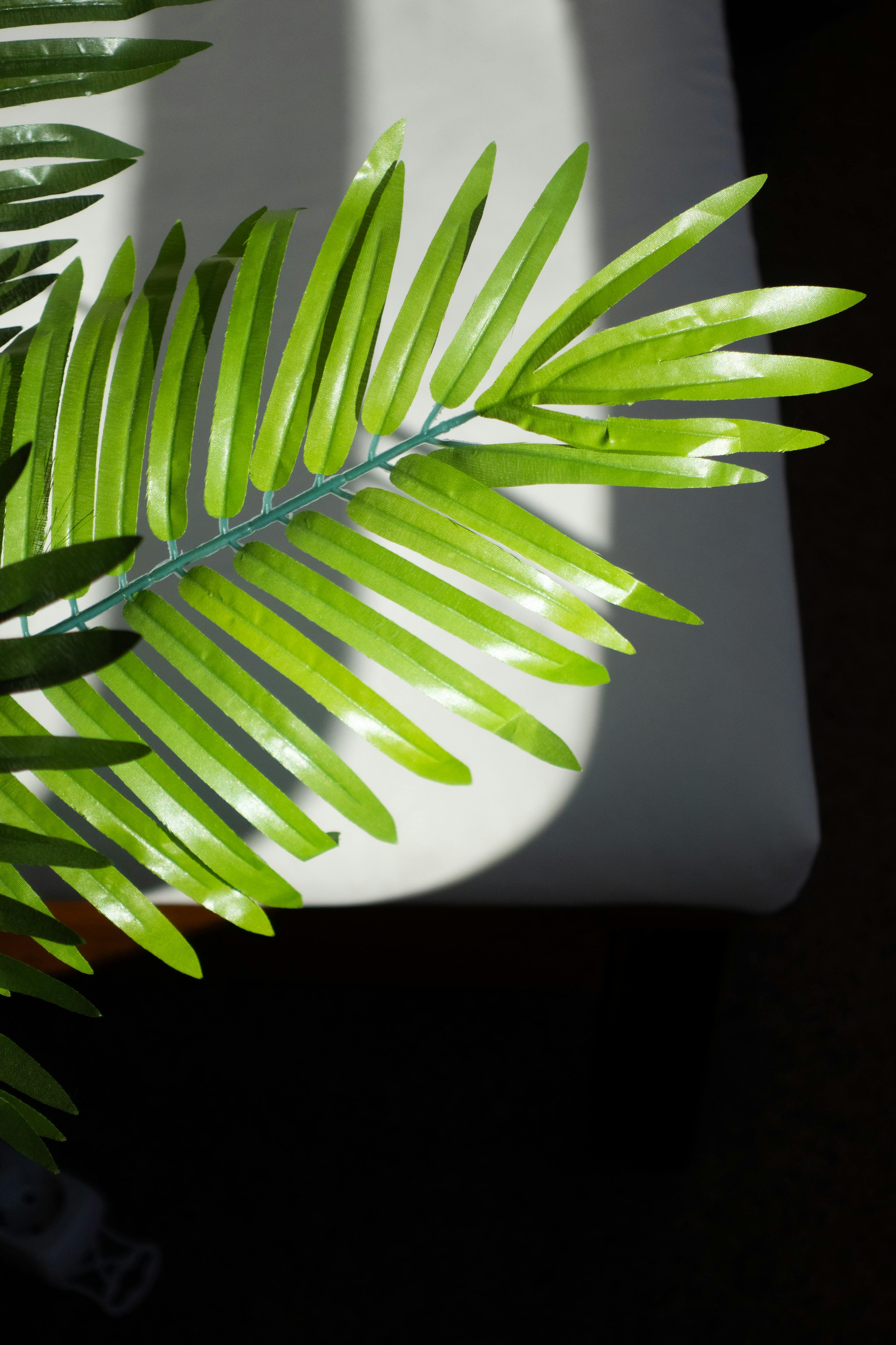 Artificial Breathing Machine Photos, Download The BEST Free Artificial ...