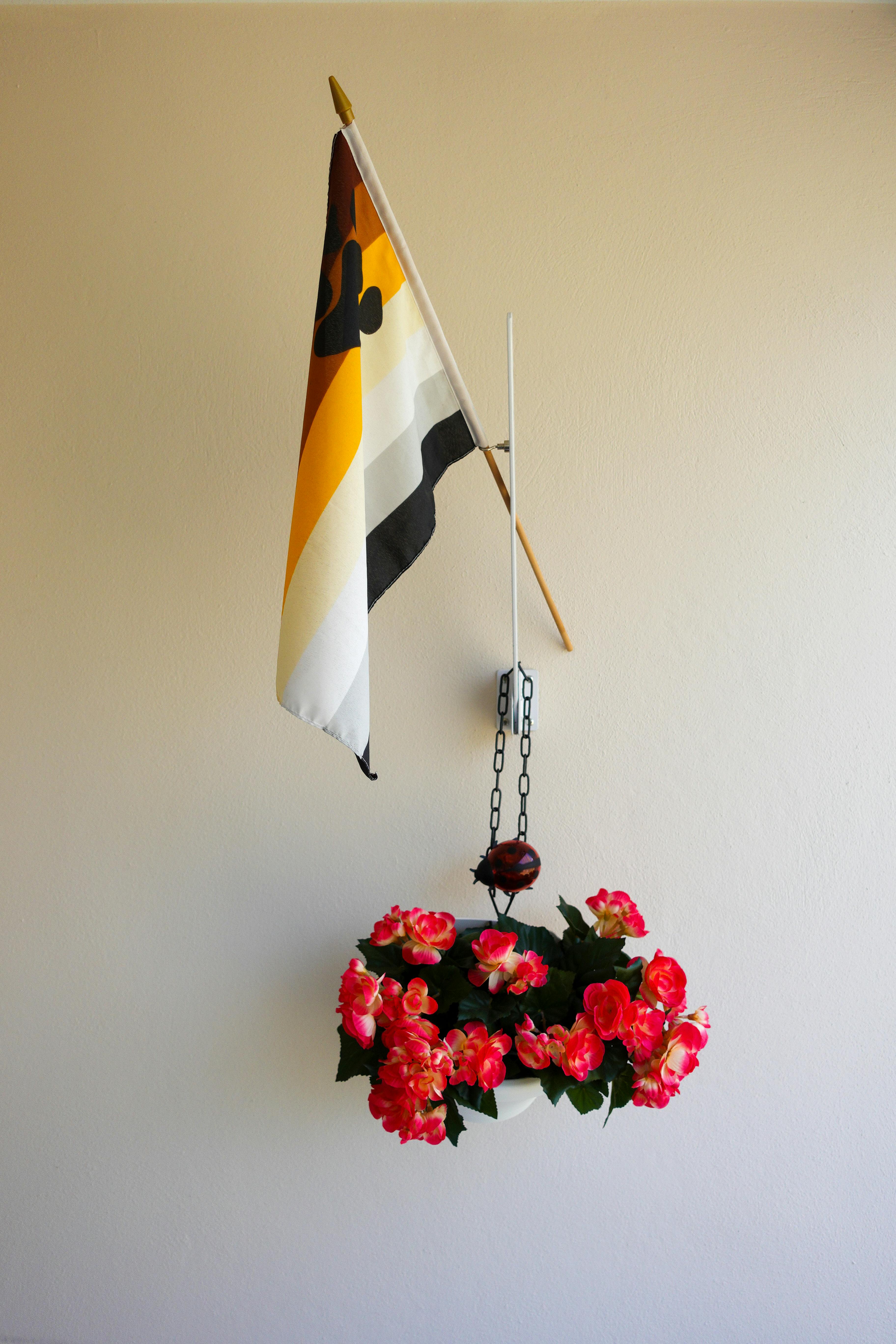 Flag and Flowers in Flower Pot · Free Stock Photo