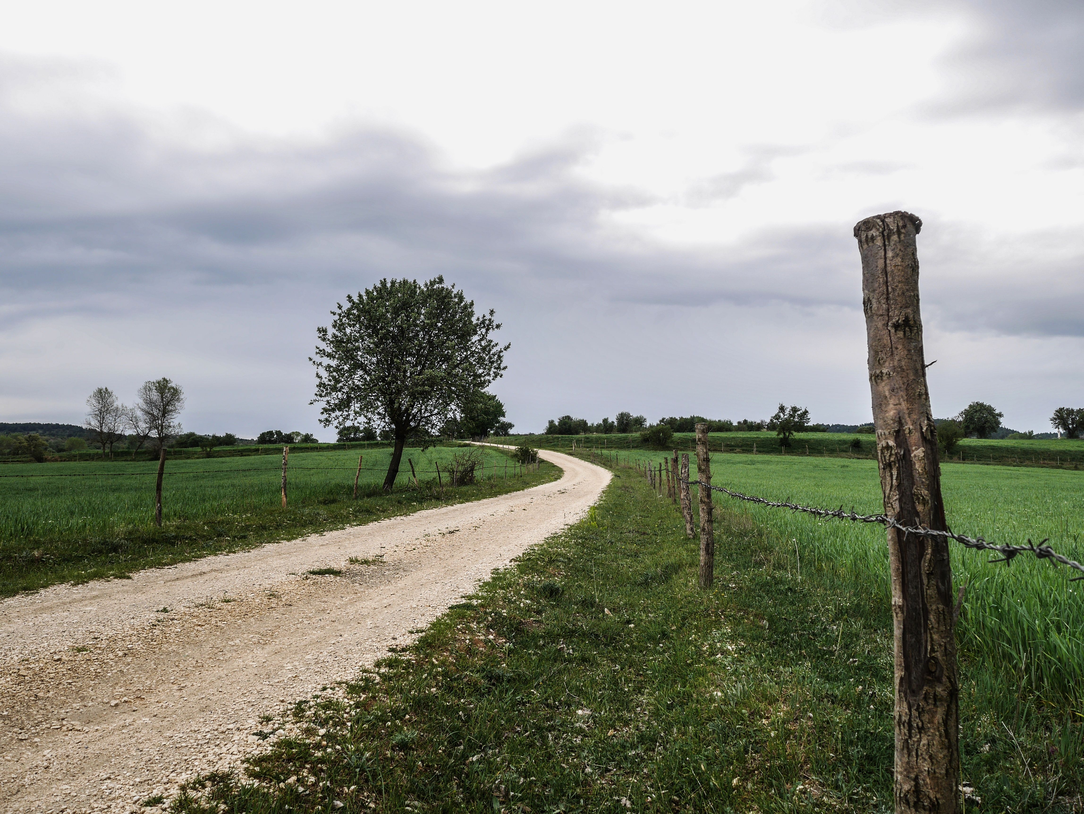 Foto de stock gratuita sobre agricultura, al aire libre, alambre de ...