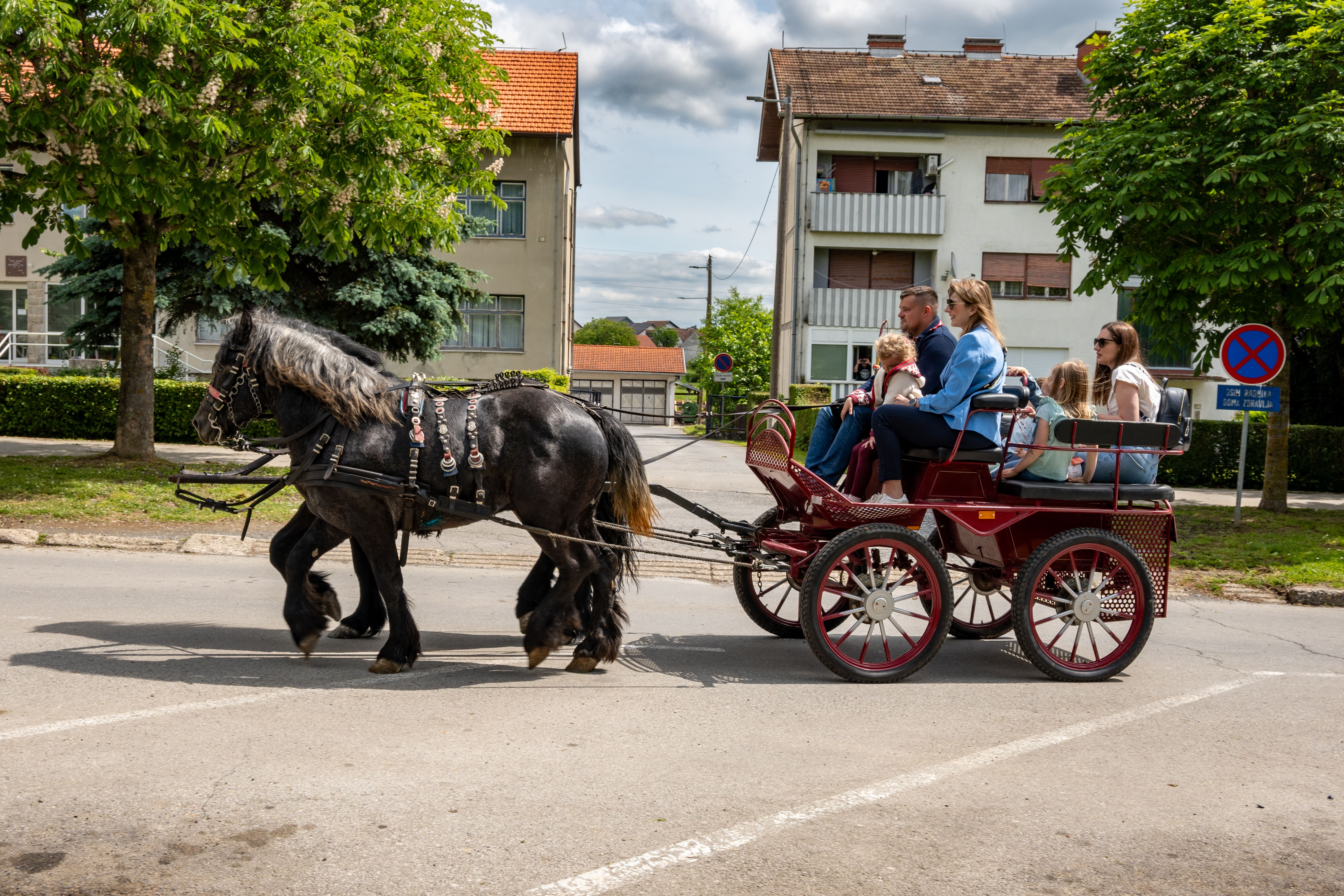 People Riding a Horse Carriage · Free Stock Photo