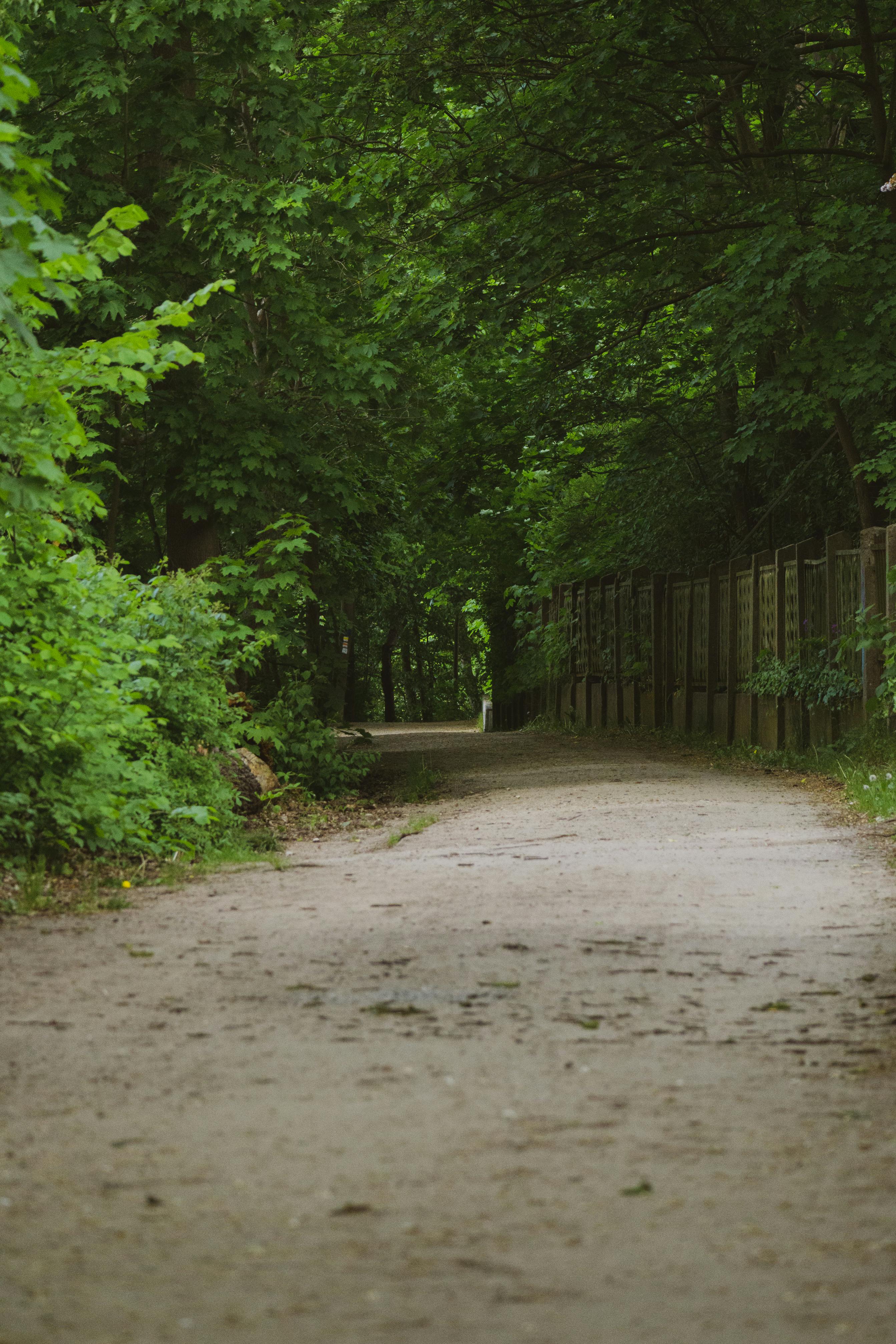 Greenway Path Photos, Download The BEST Free Greenway Path Stock Photos ...