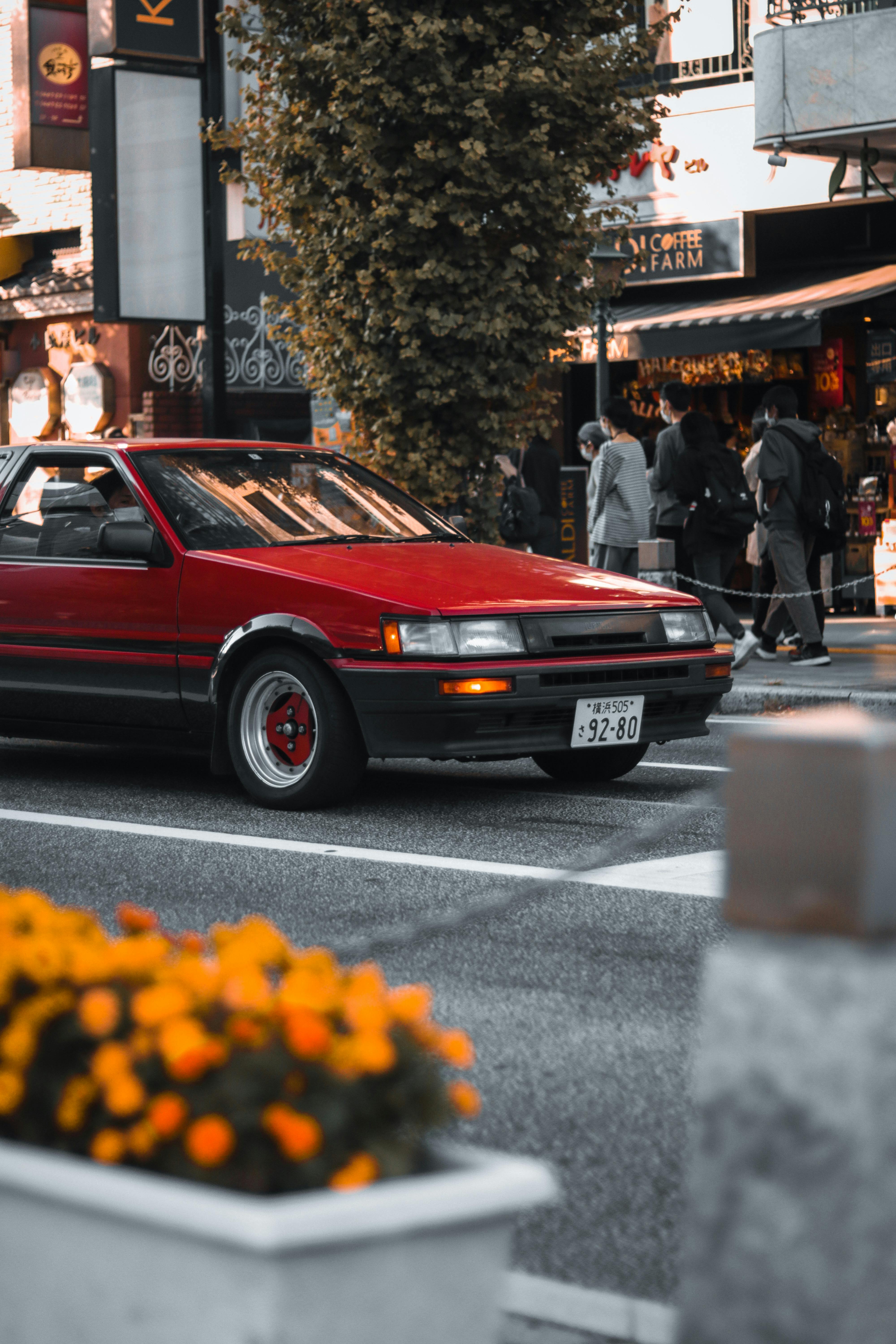 Red Gram Tree Photos, Download The BEST Free Red Gram Tree Stock Photos ...